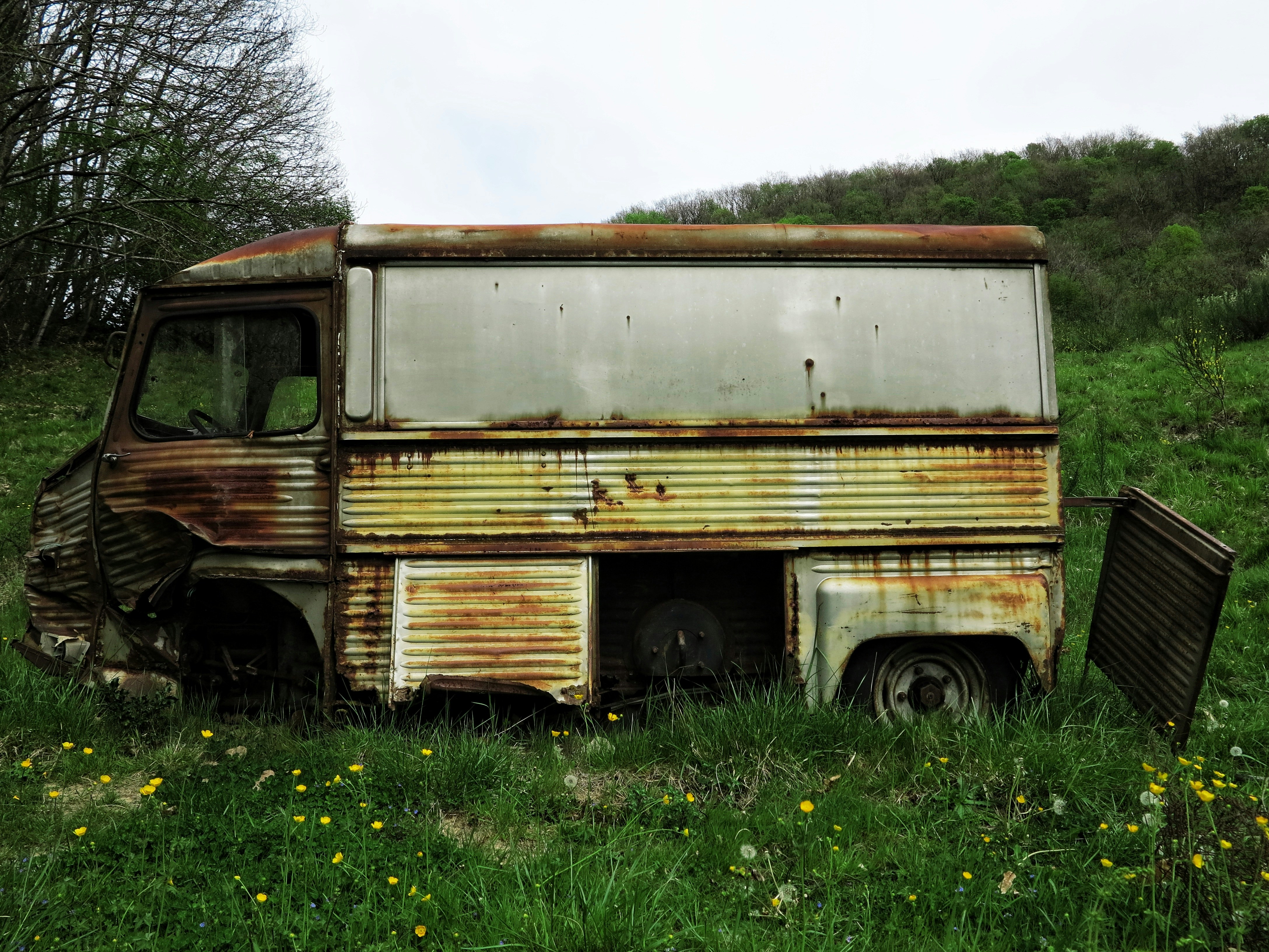 Abandoned food truck with rusted exterior, partially hidden by overgrown grass and wildflowers. The scene evokes a sense of nostalgia and decay.