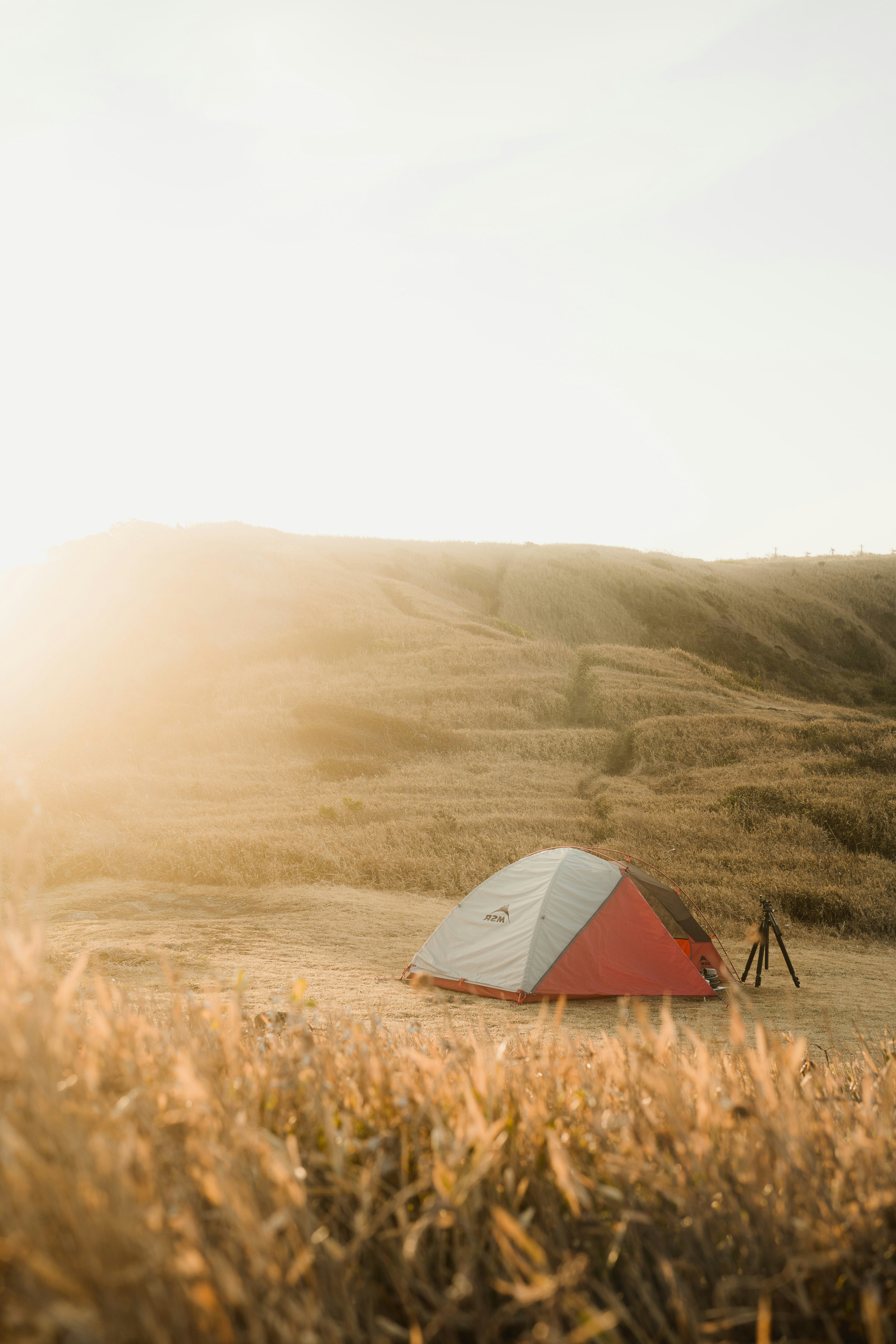 A cozy camping tent nestled in a golden field at sunset, surrounded by gentle hills and tall grasses.
