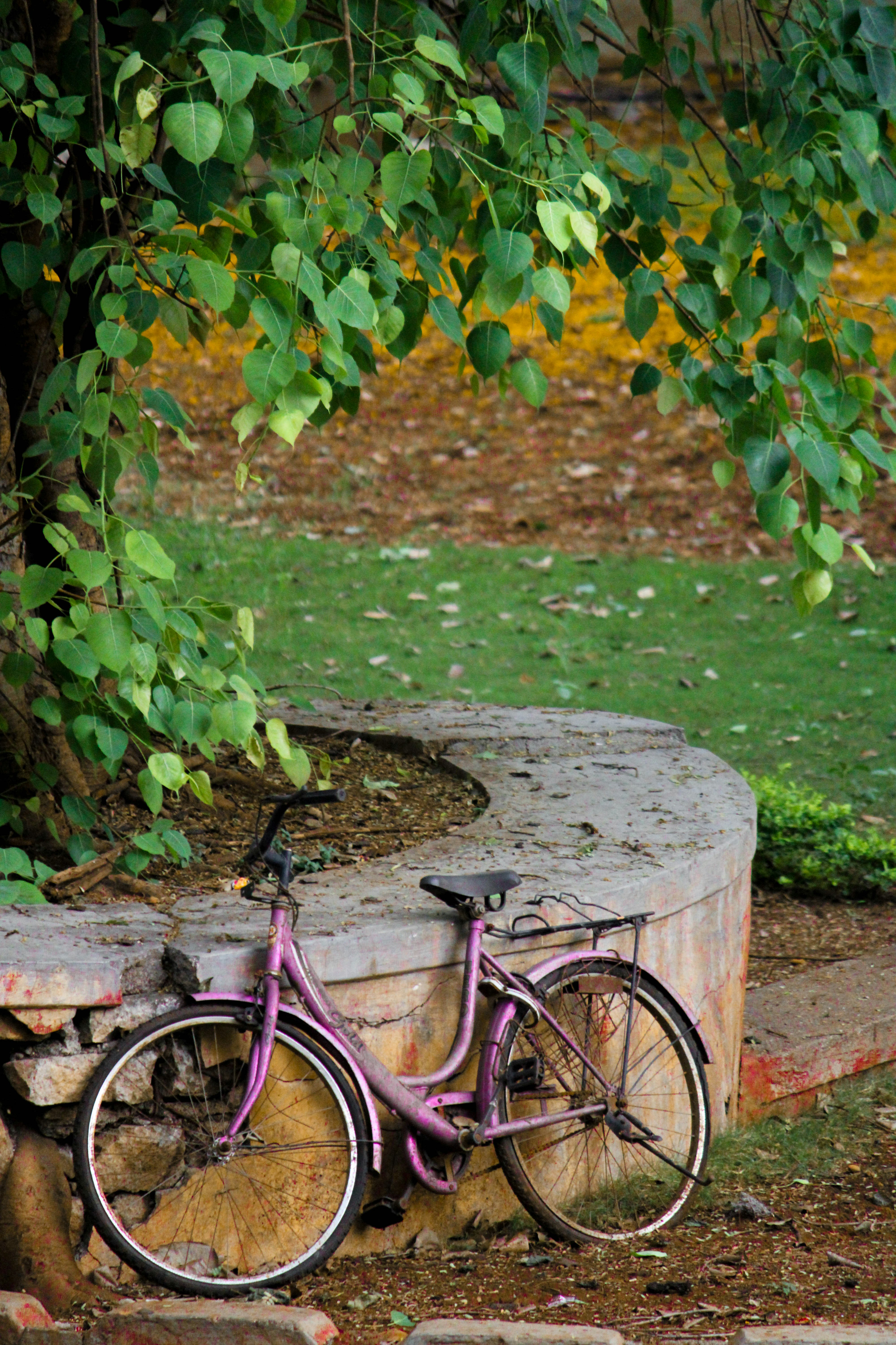 green bicycle on gray concrete wall