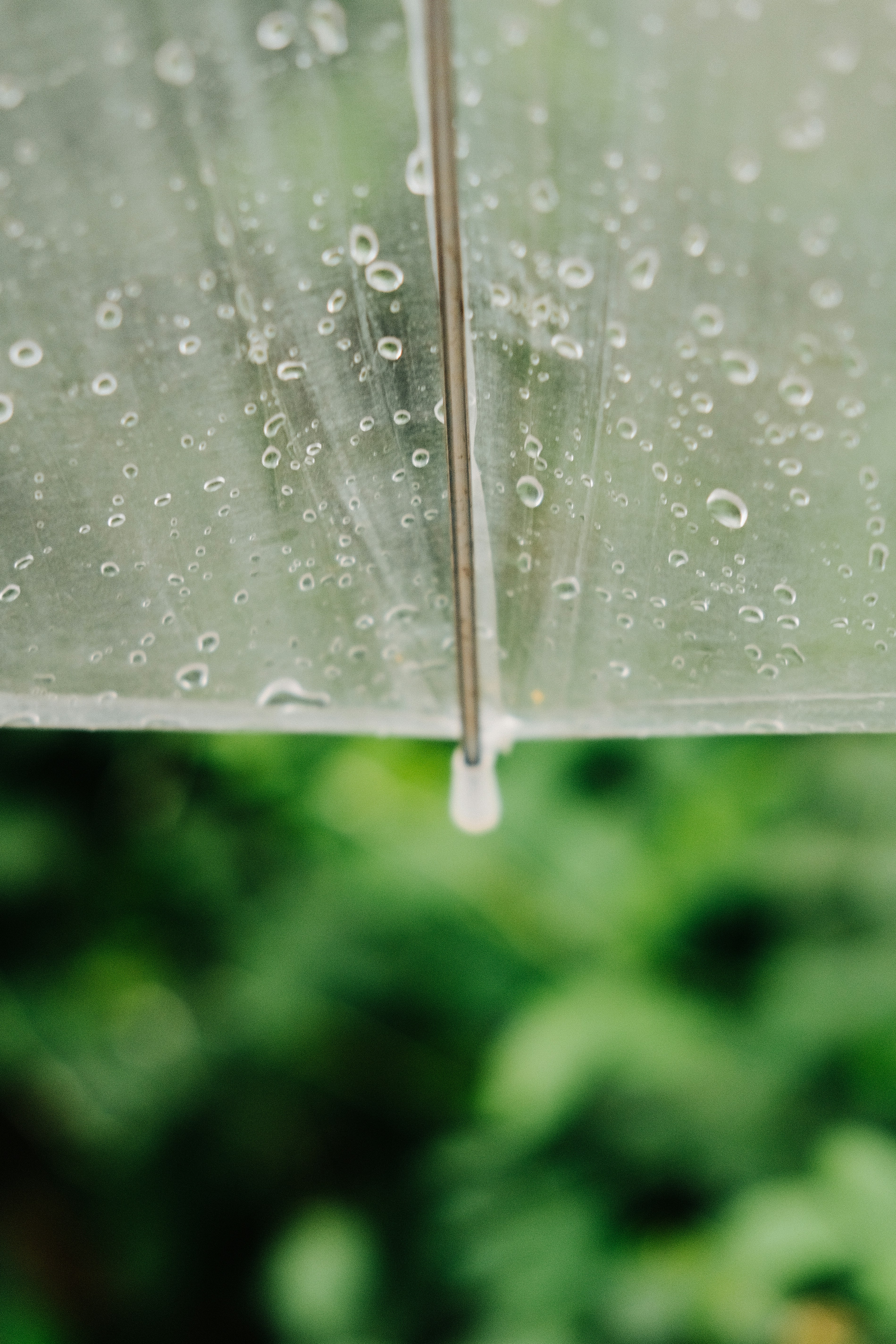 Rain Veins: Droplets Along a Central Umbrella Seam