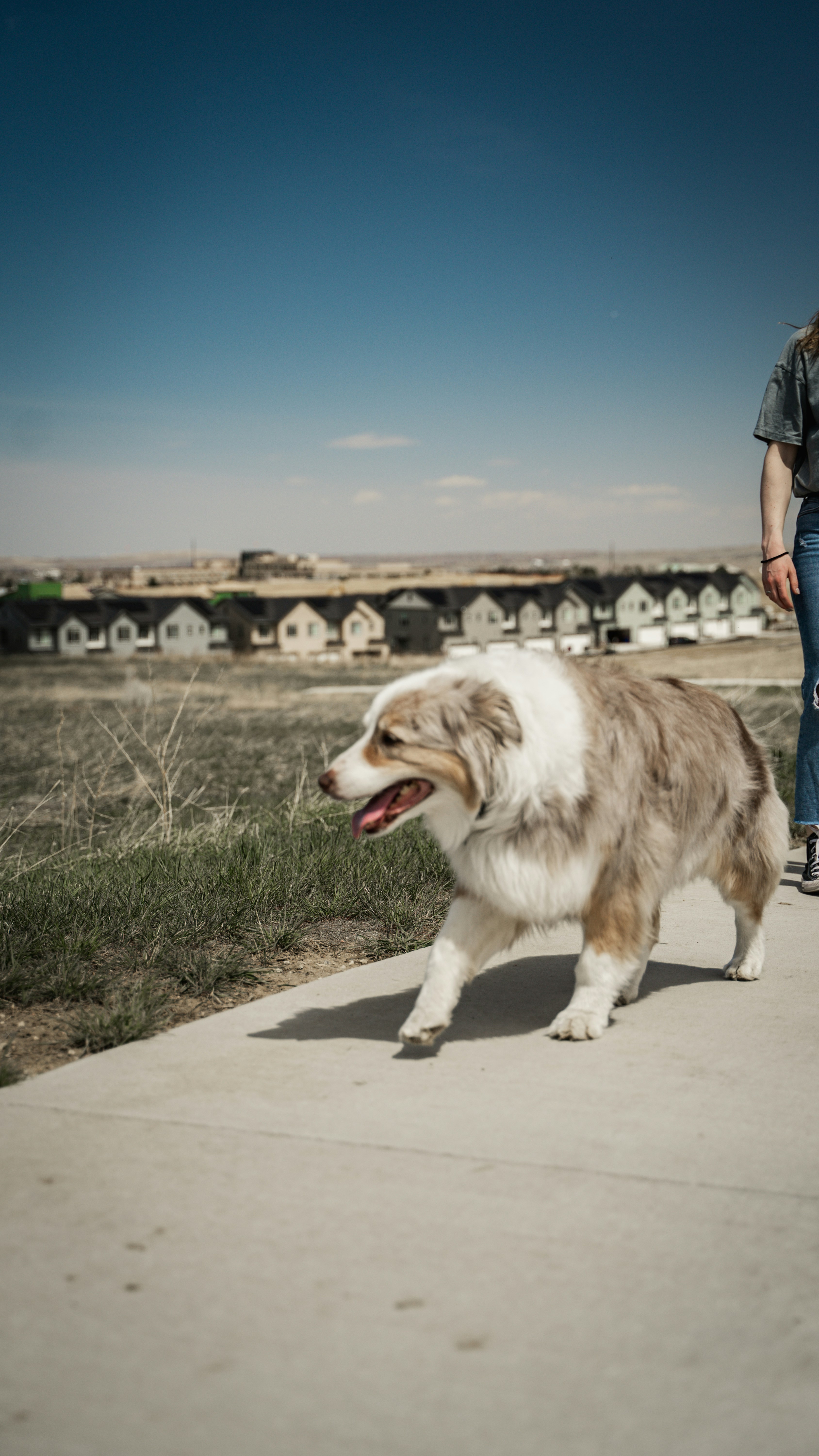 Frankie Valentin (@knowell) | Comunidade de fotos da Unsplash