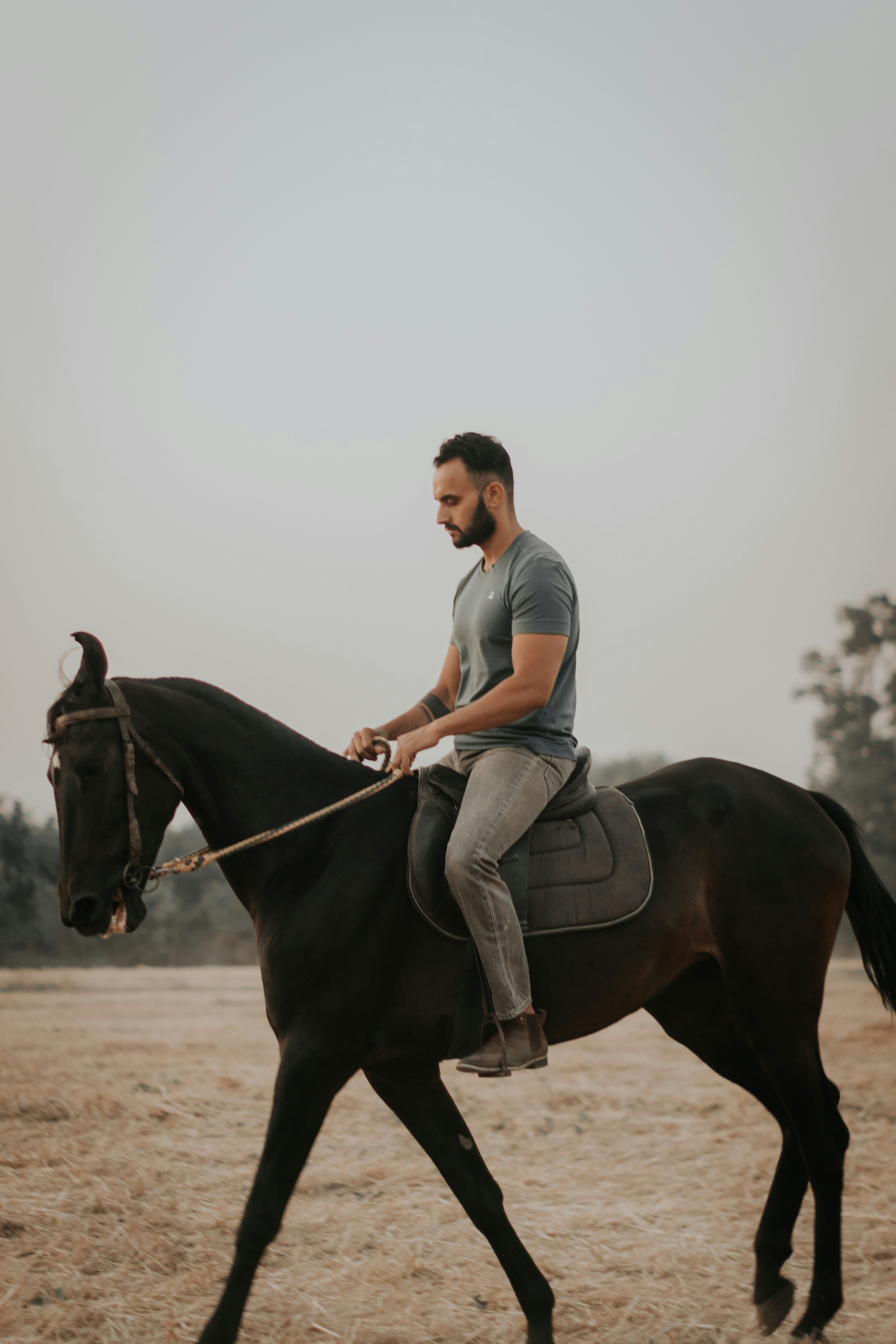 Dusk Ride: A Solo Rider on a Dark Horse Across a Dried Field