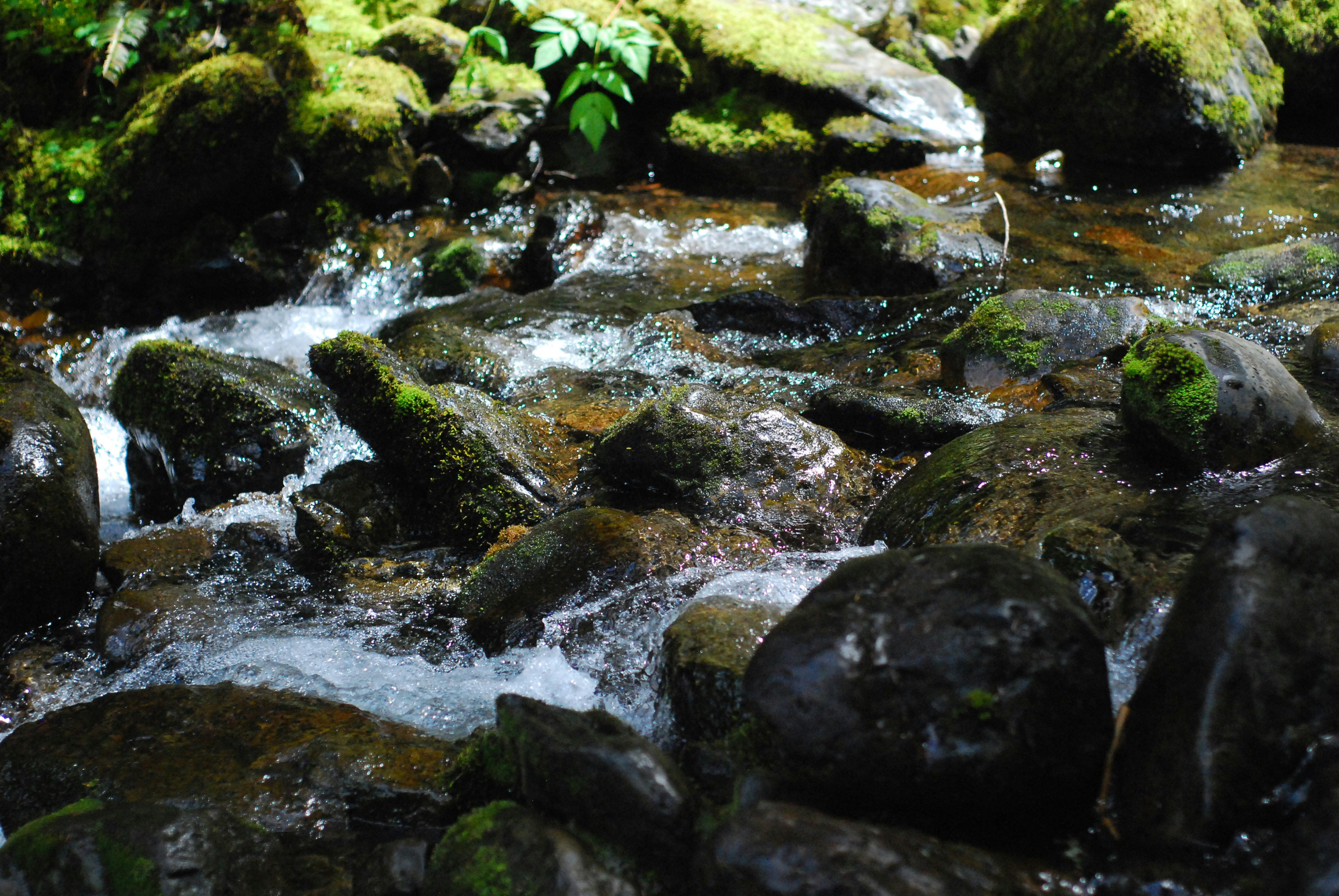 A close up of a stream of water surrounded by rocks photo – Free ...