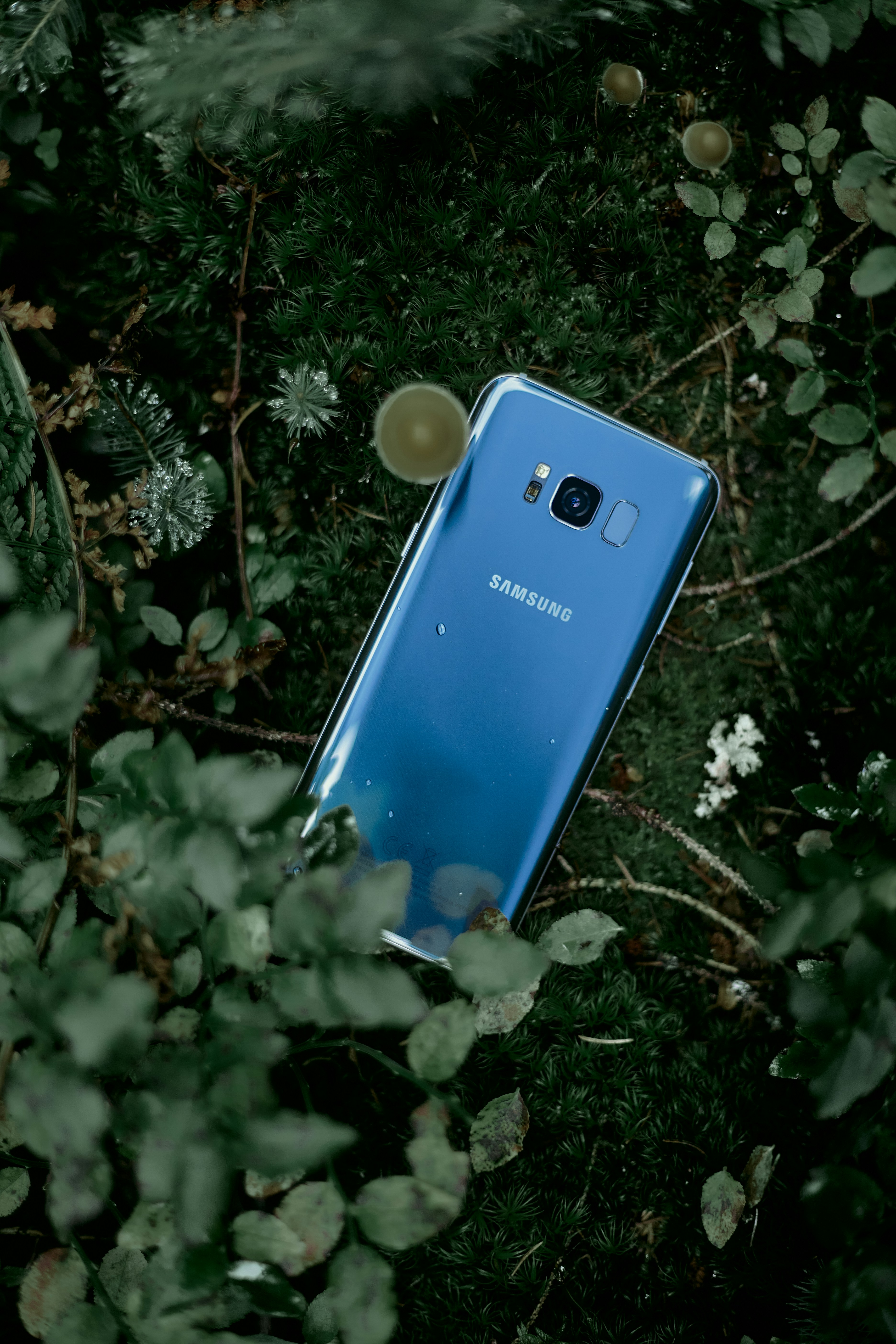 Blue samsung android smartphone on green plant photo – Free Blue Image ...
