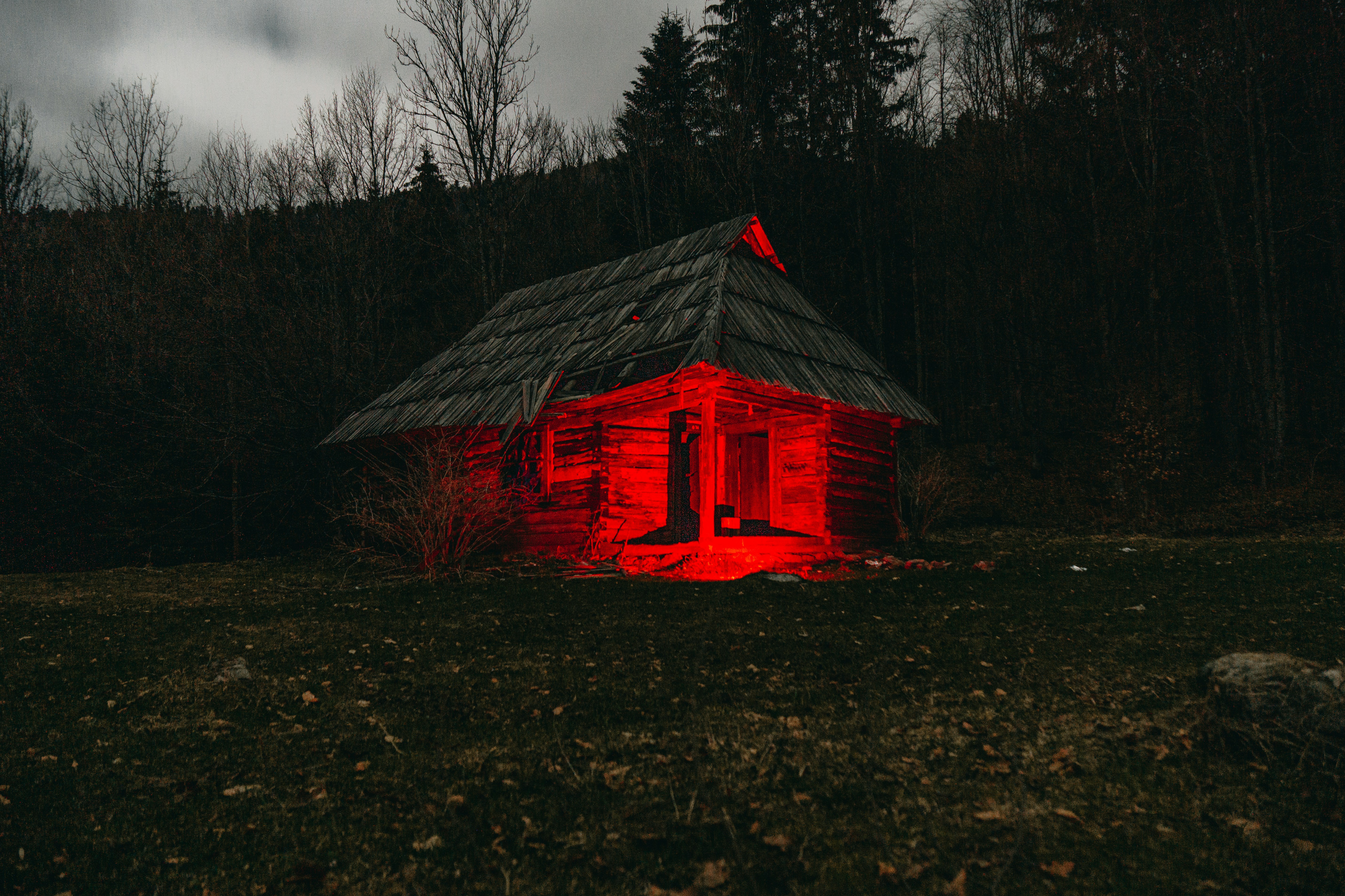 brown wooden house surrounded by trees during night time