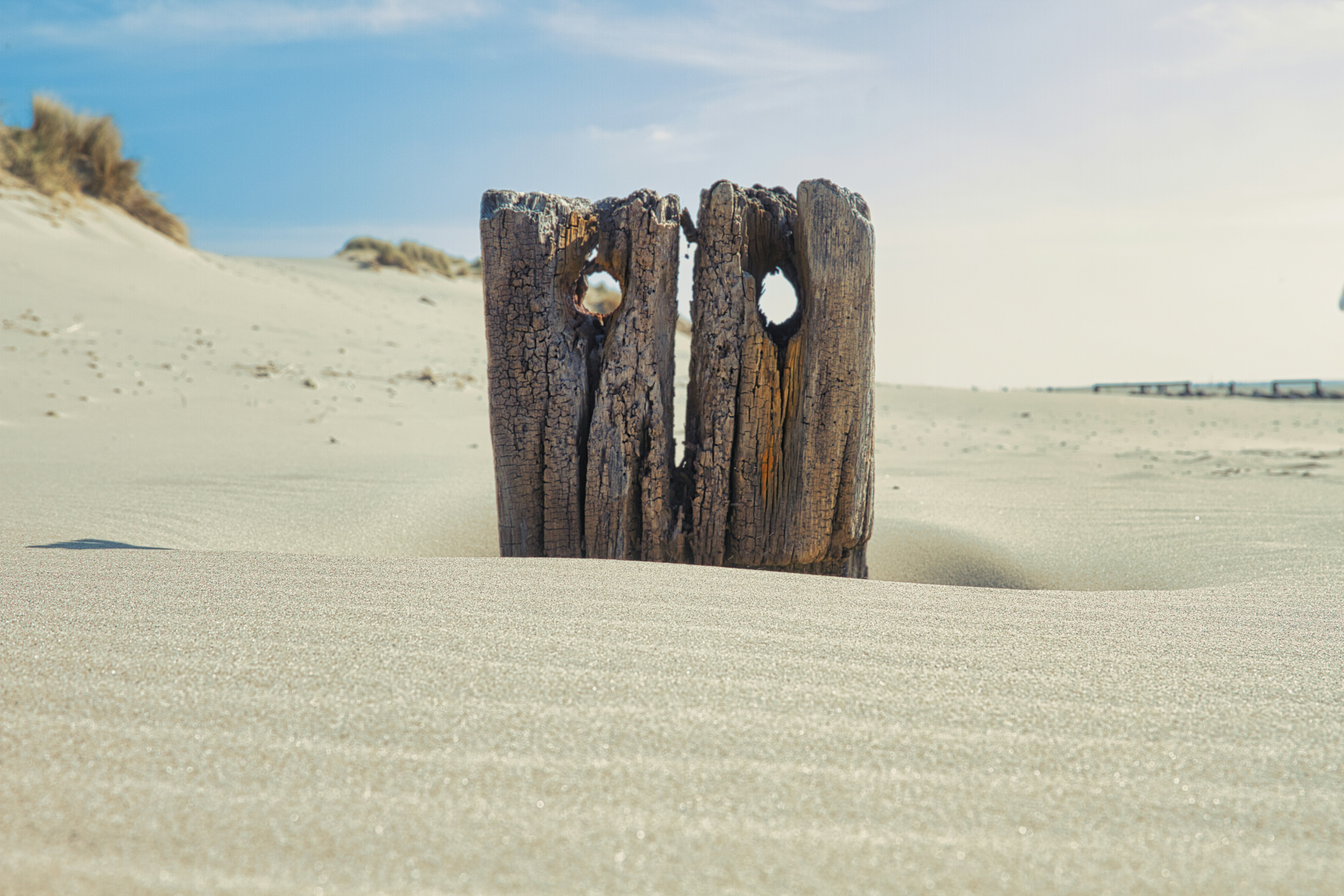 Two Weathered Gateposts Standing in Quiet Dune — A Minimalist Coastal Moment