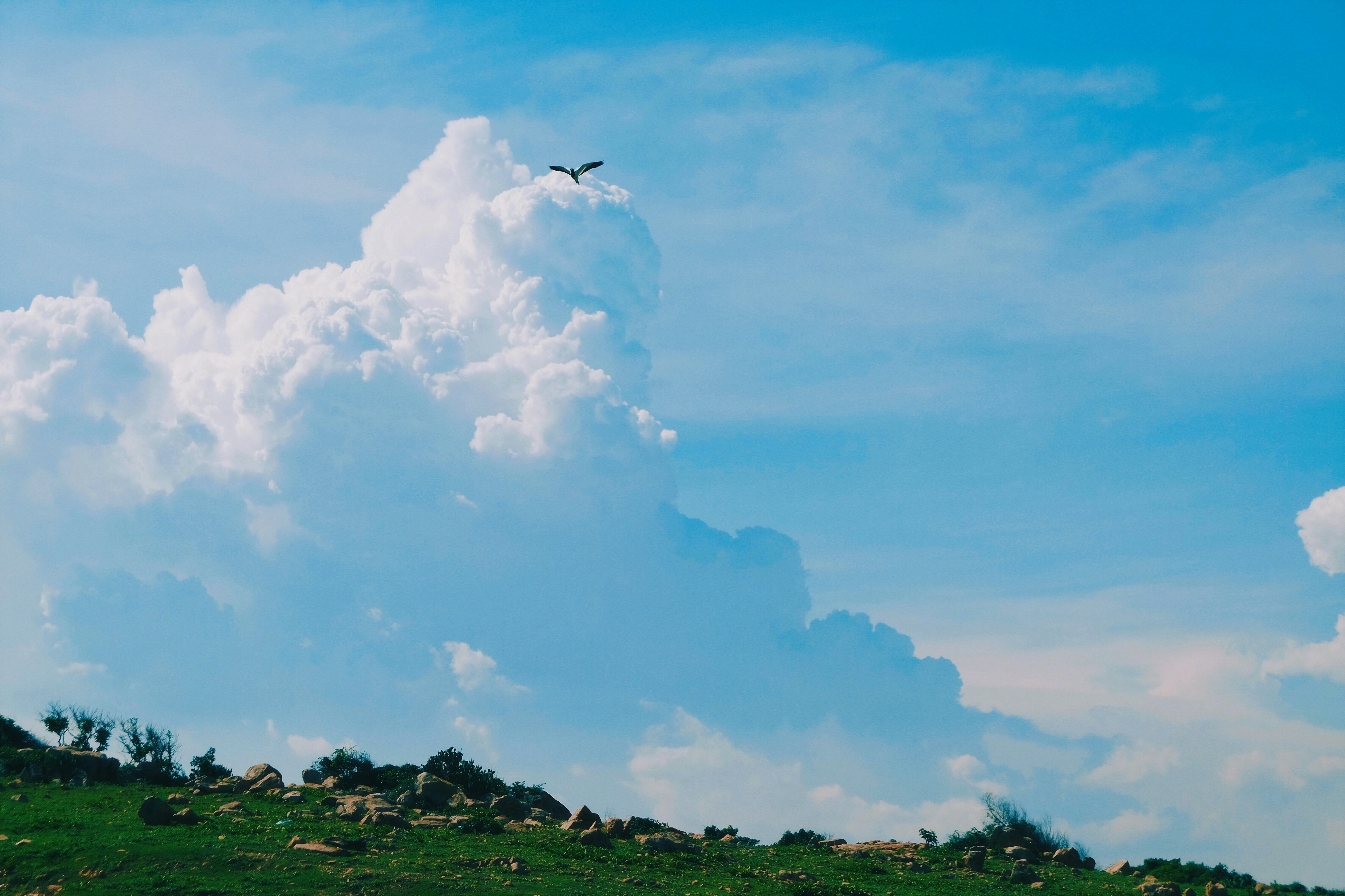 Lone Aircraft Skims the Blue Sky Over a Rolling Hill and a Towering Cloud
