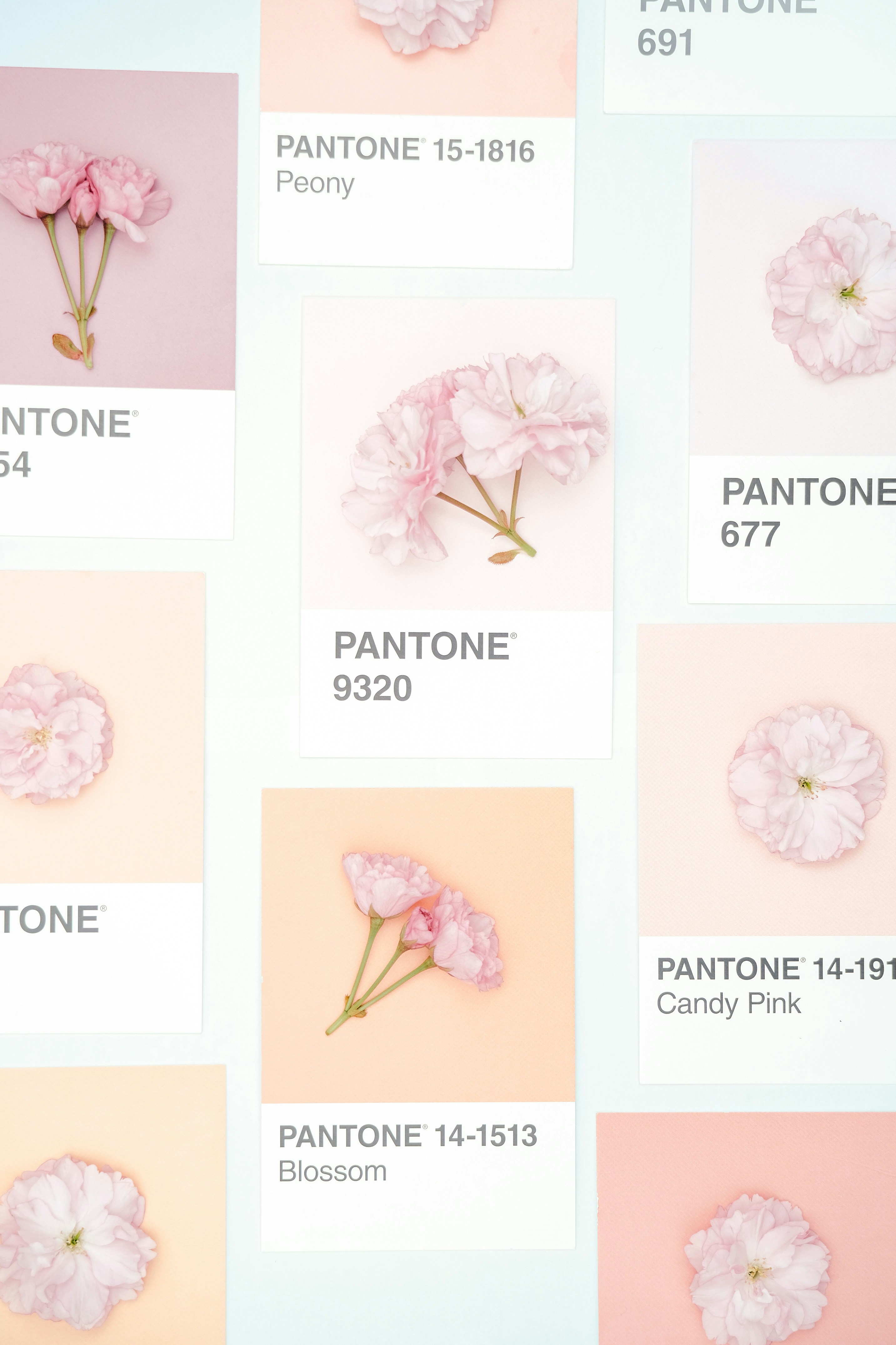 Pink Petals Meet Pantone Palette: A Floral Swatch Grid