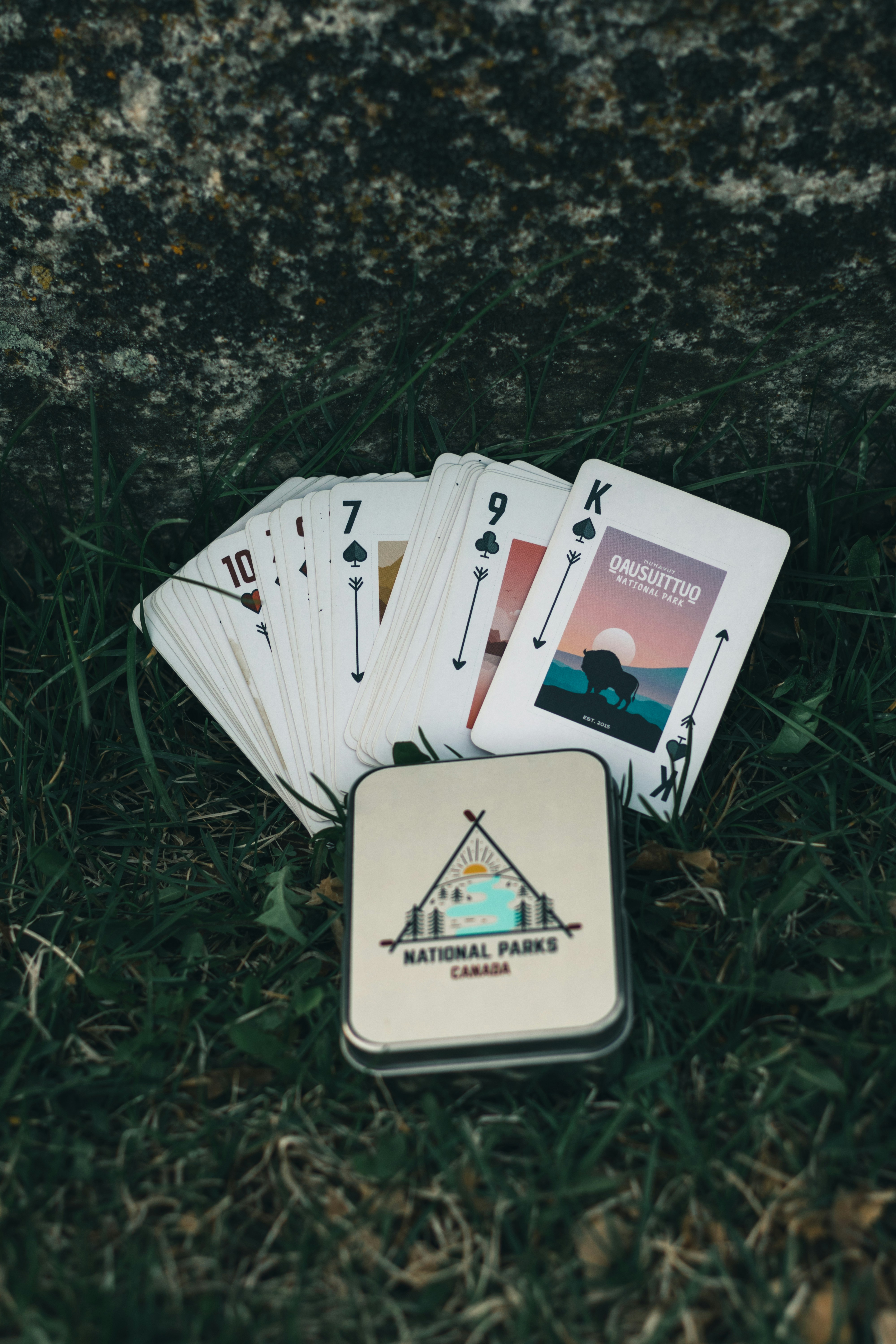 Mossy Deck at the Edge: Cards Fanned beside a National Parks Tin