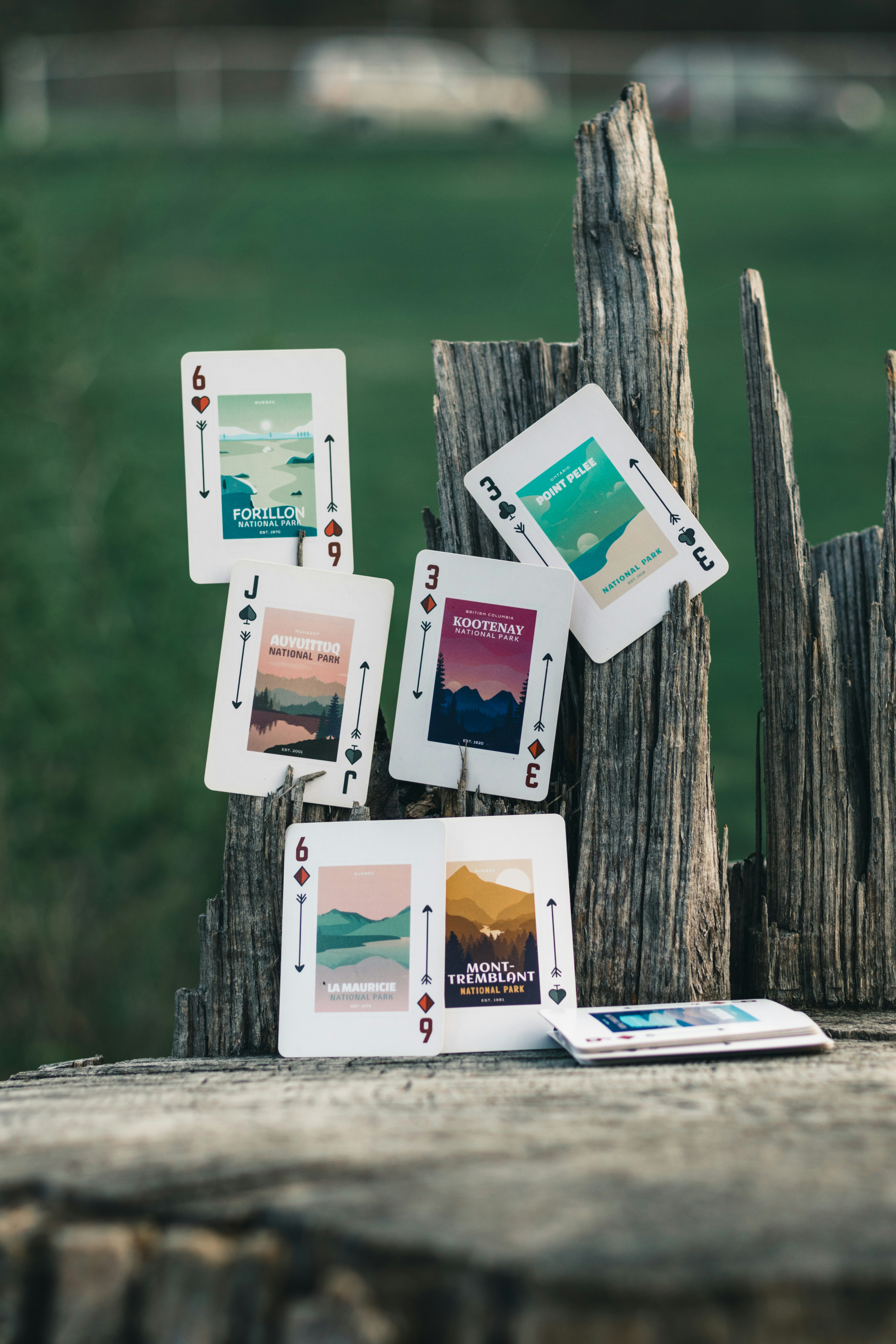 Playing cards featuring artistic representations of various national parks arranged on a weathered log. The vibrant designs highlight the beauty of nature.