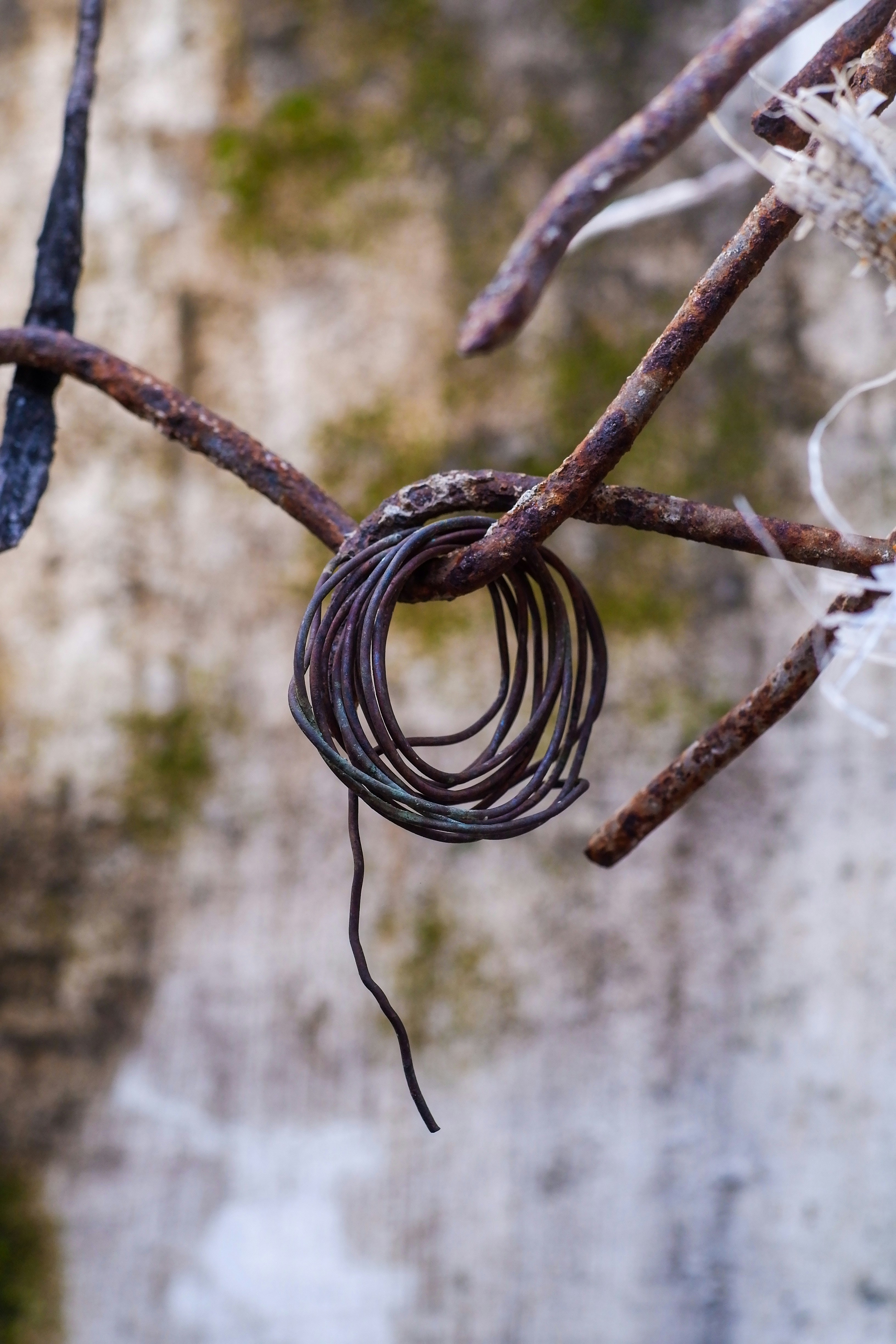 A coiled piece of wire hangs suspended among rusted branches against a weathered backdrop. The interplay of textures and colors tells a story of decay and resilience.