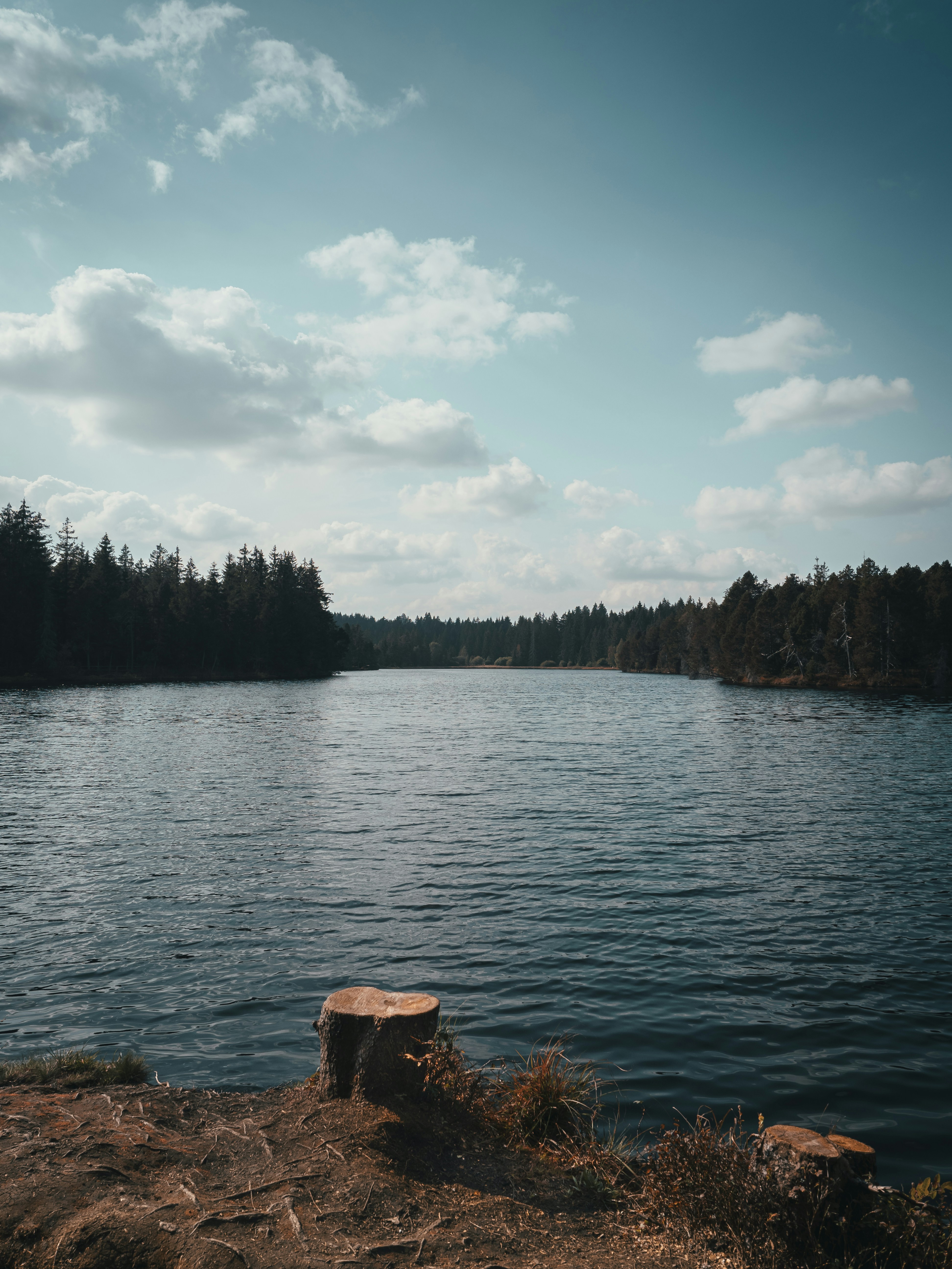 Tranquil lake scene framed by lush forests under a partly cloudy sky. A tree stump in the foreground adds a natural element to the serene waters.