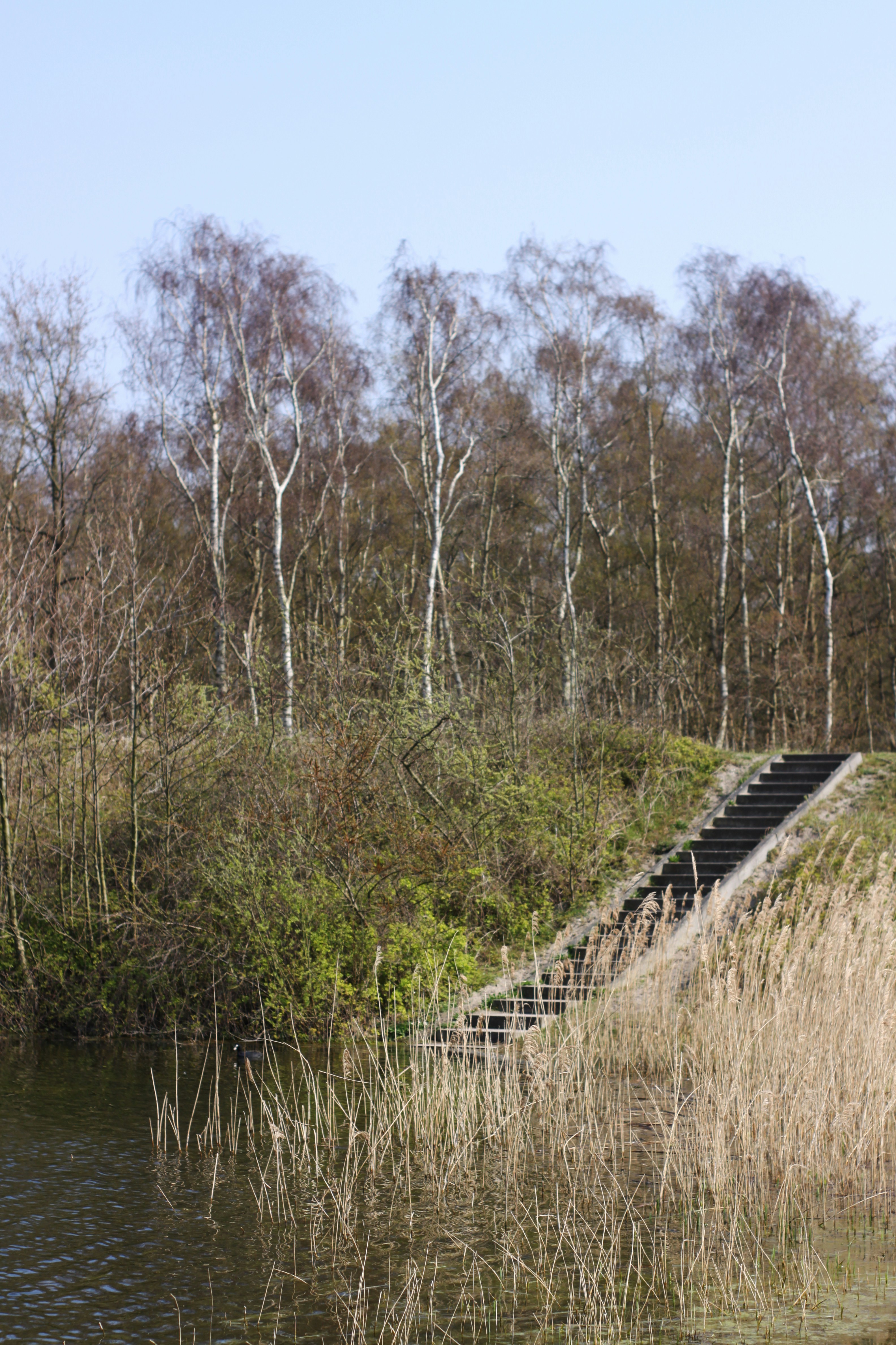 Ultimate Guide to Memefi Airdrop 2024: Easy Steps to Join | Web3Wire