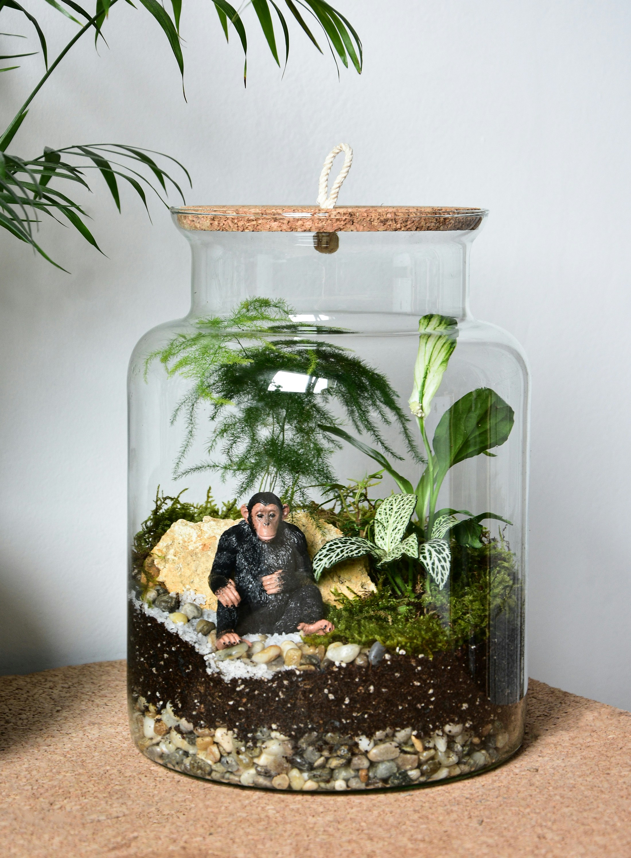 Guarded Within Glass: A Miniature Monkey in a Terrarium Jar