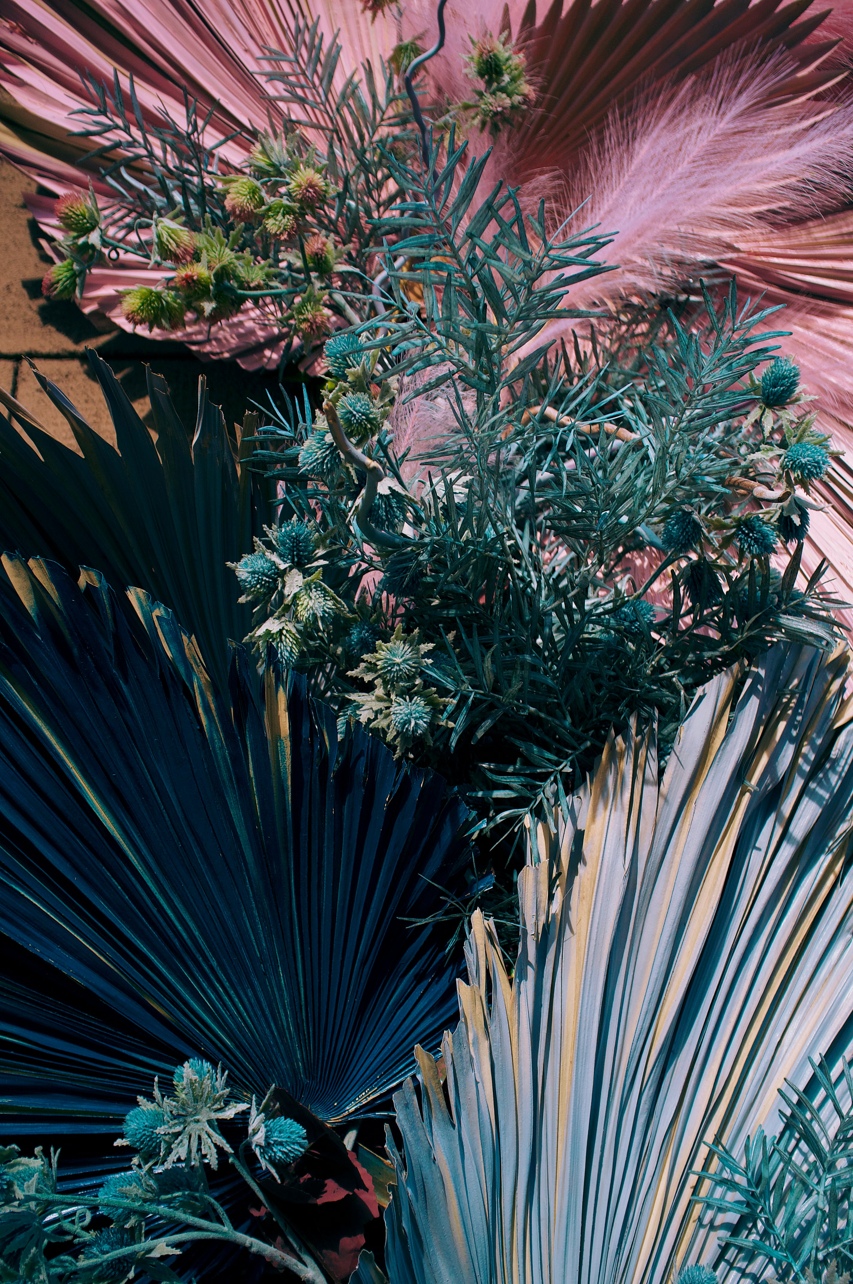 Deserted Garden in Neon Haze: Textured Foliage and Spiky Blooms