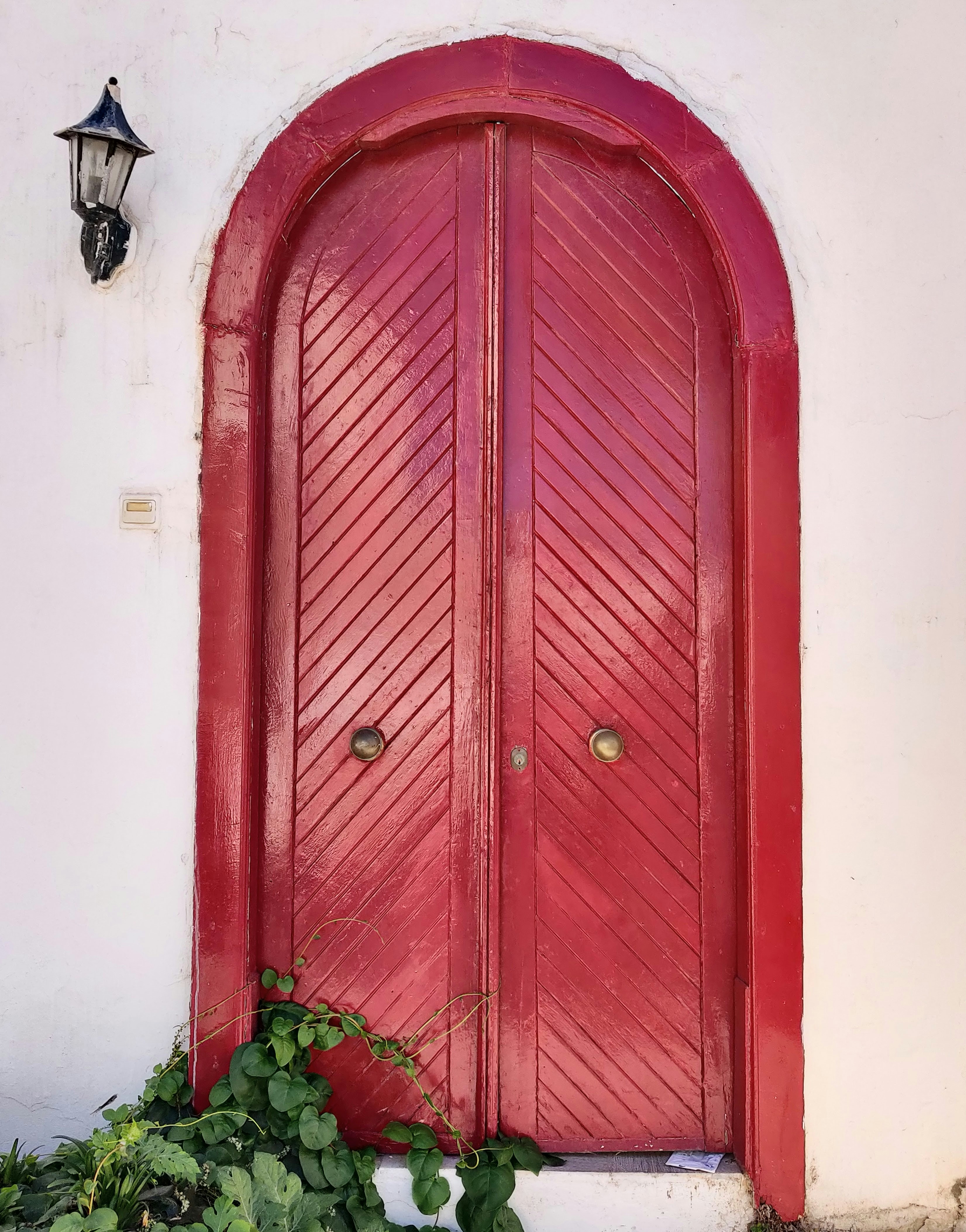 Vibrant red double doors with diagonal patterns, framed by a white wall and accompanied by a vintage lantern. Lush green vines creep at the base.