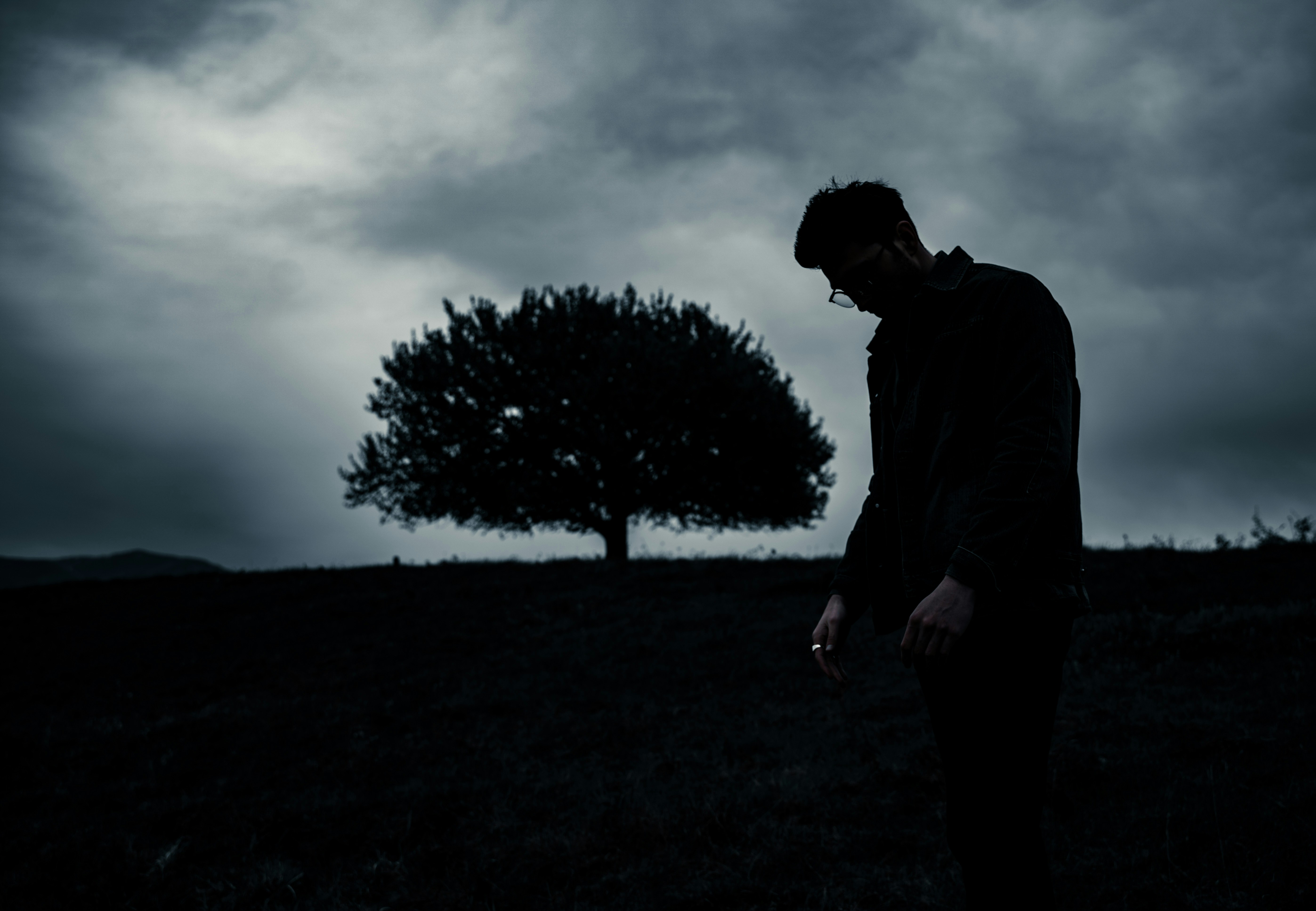 Silhouette of a person standing in a field, with a large tree looming in the background under a moody sky.