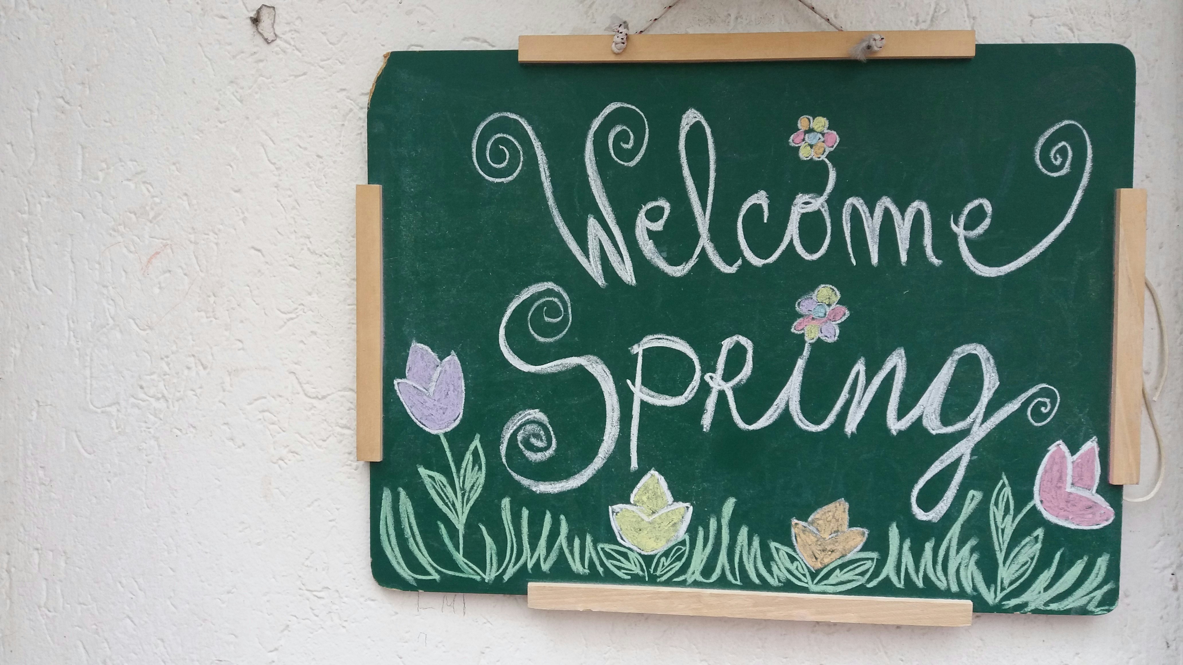 Welcome Spring: A Chalkboard Hello to Colorful Blooms