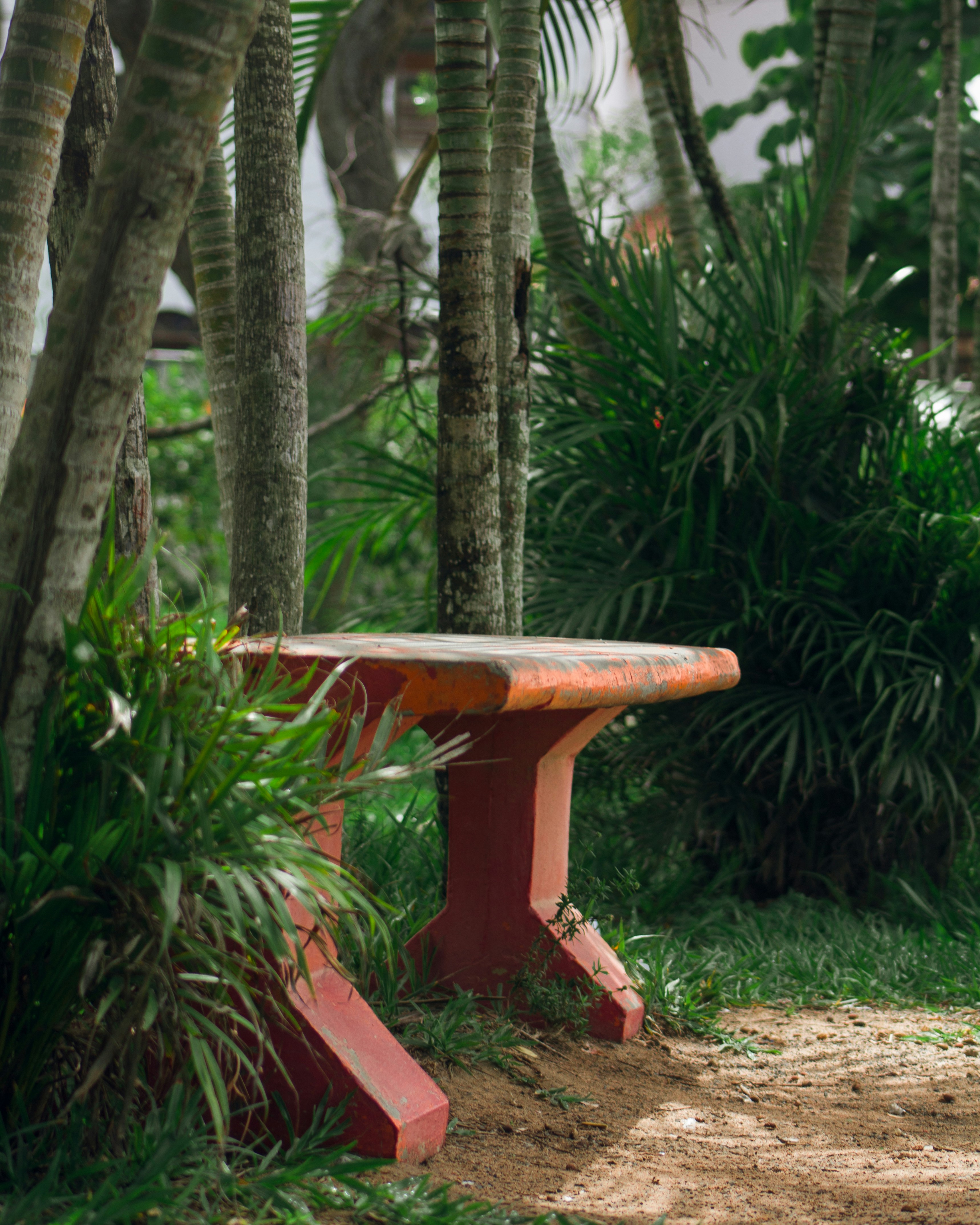 brown wooden table near green plants during daytime