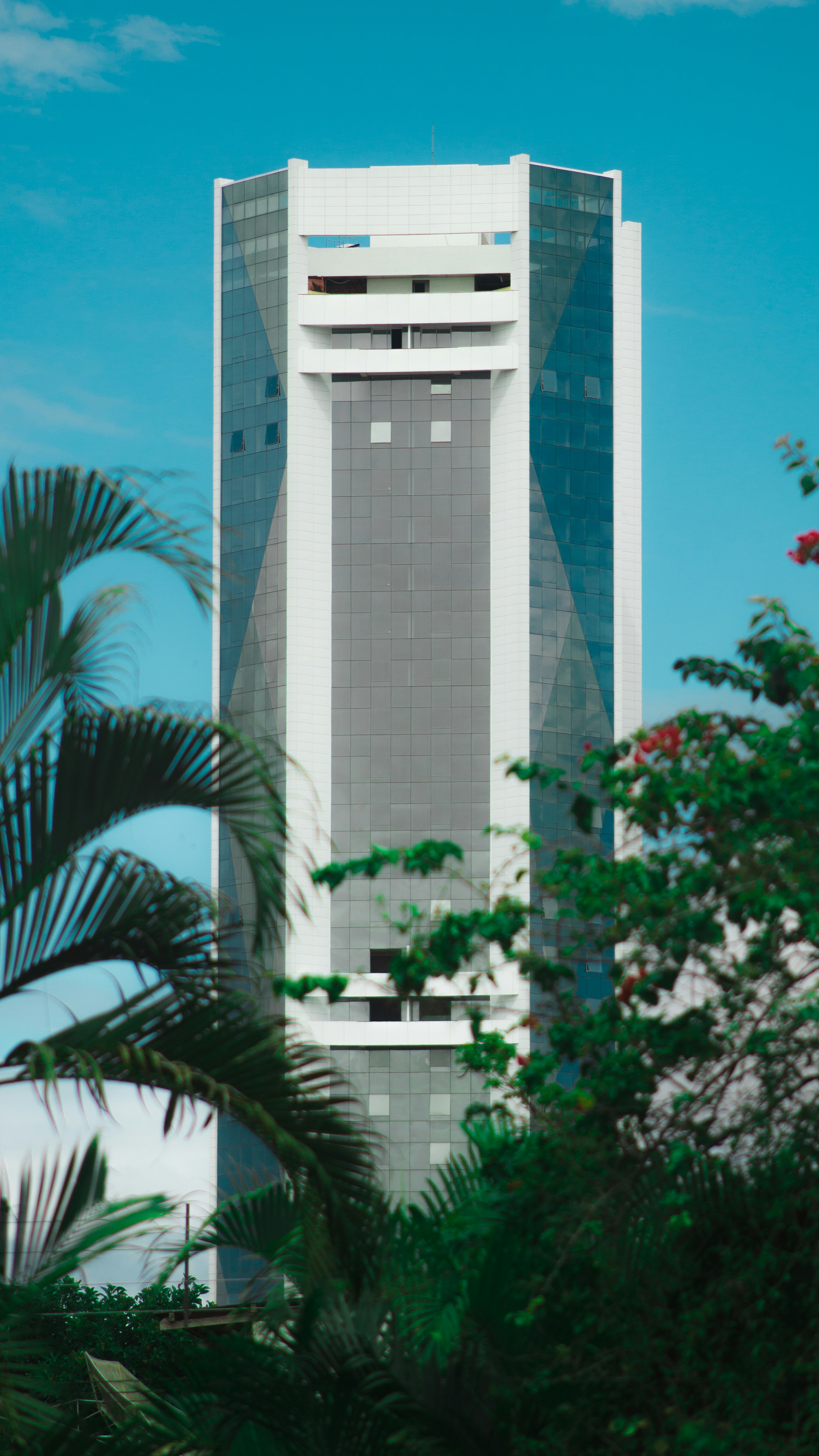 green palm tree near white concrete building during daytime