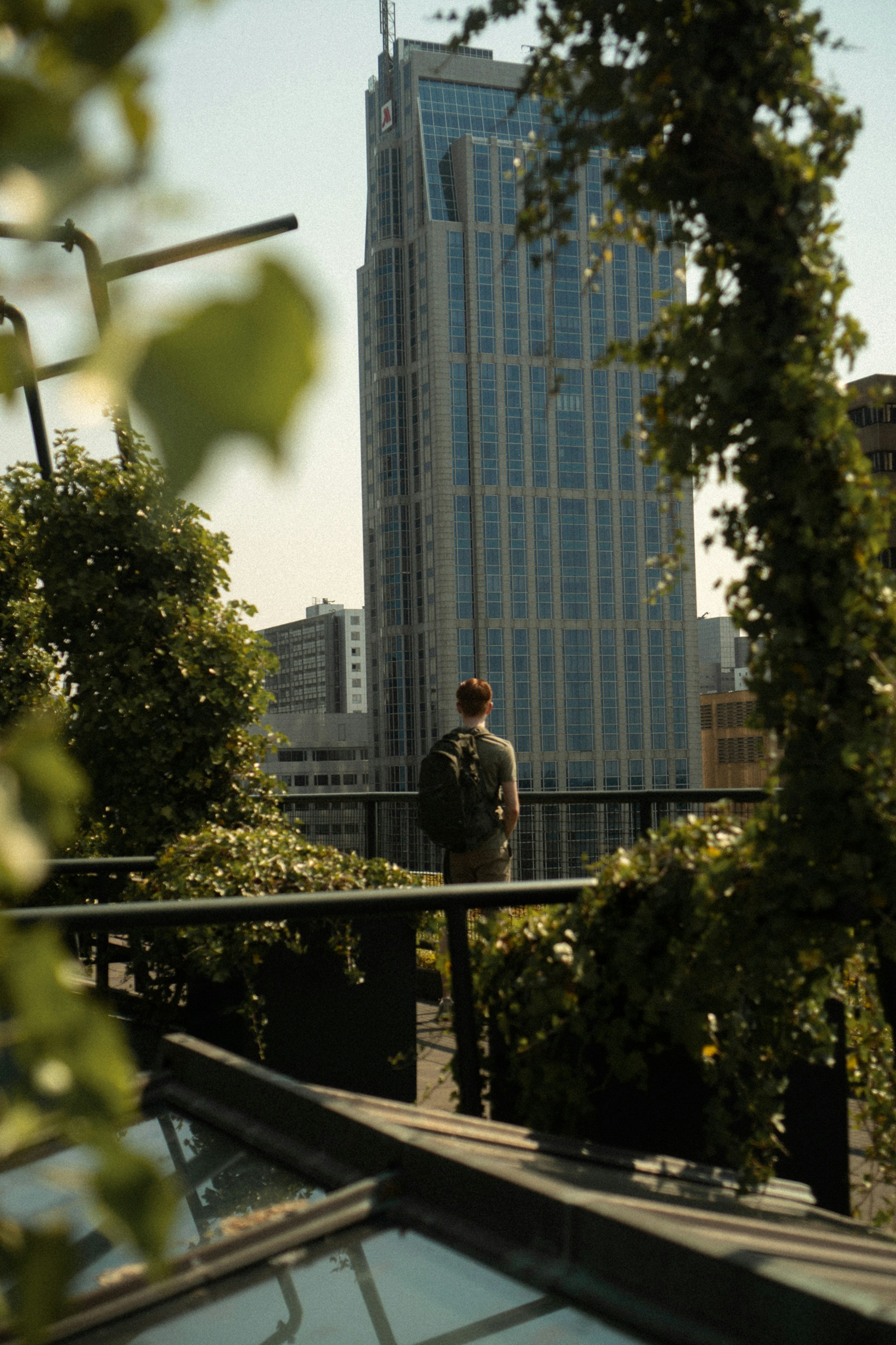Skyline Gaze from the Green Rooftop: A lone traveler among the city towers