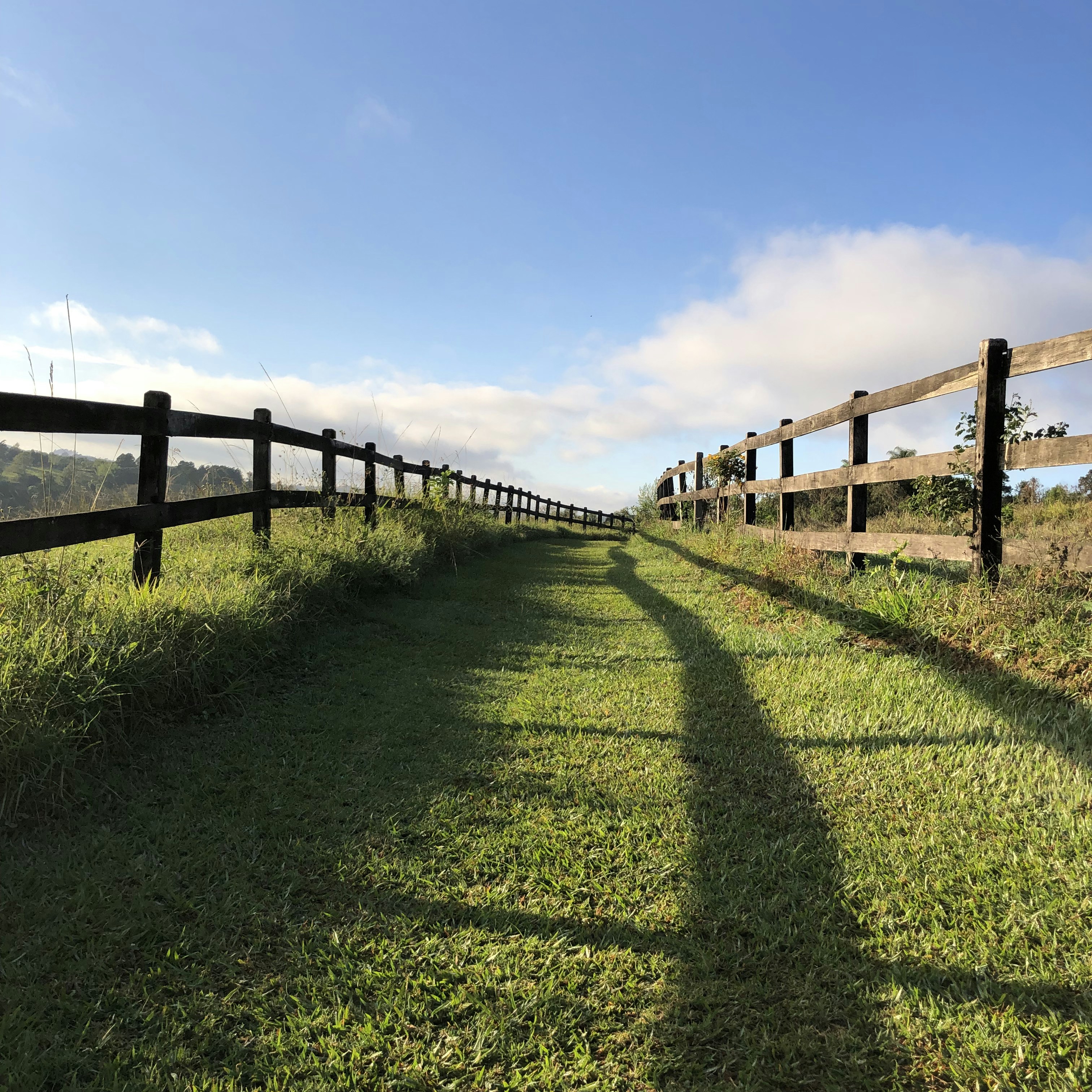 Lush green pathway bordered by a wooden fence under a clear blue sky. The scene invites exploration and tranquility.