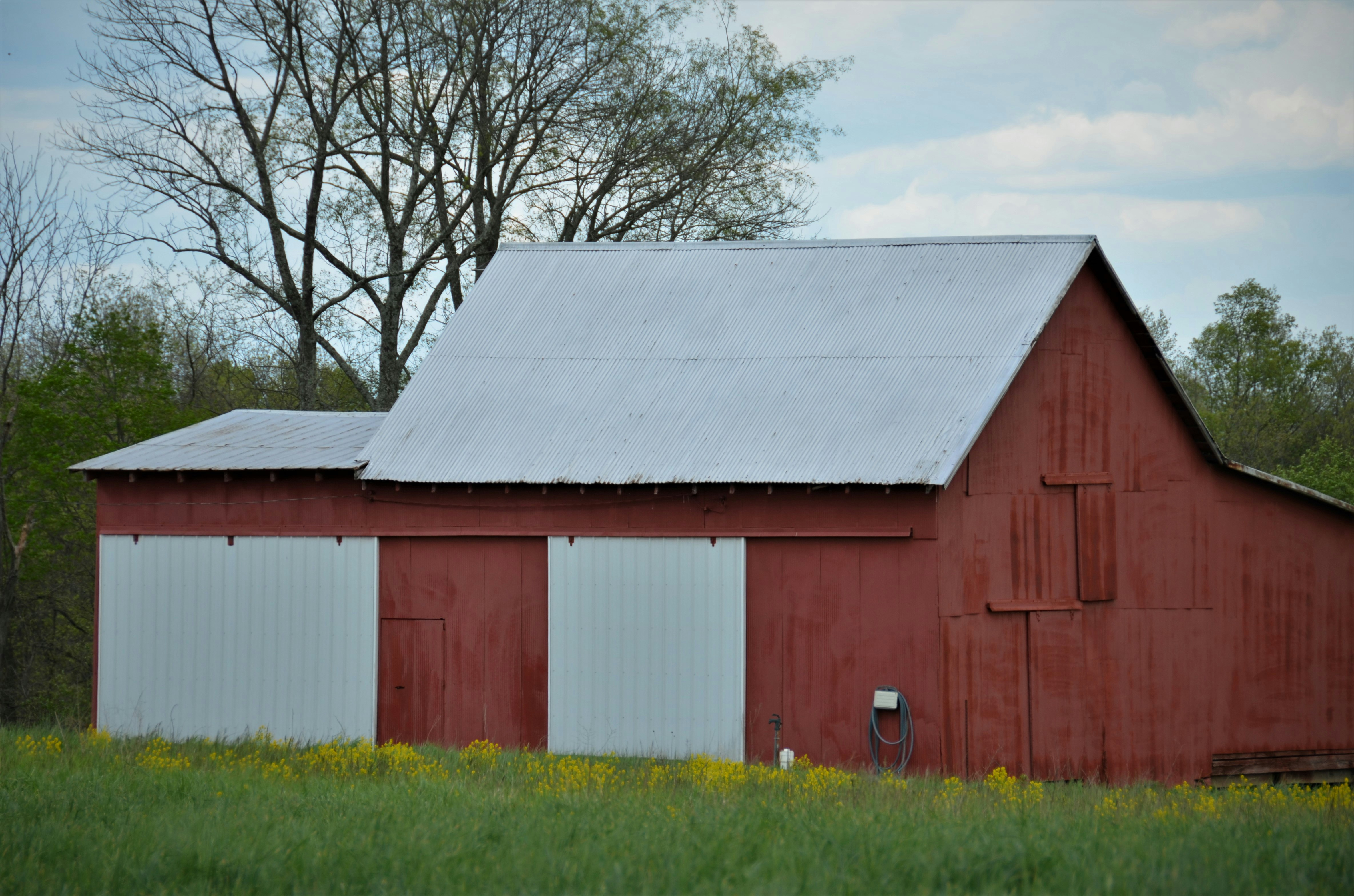 Red and white wooden barn house near bare trees during daytime photo ...