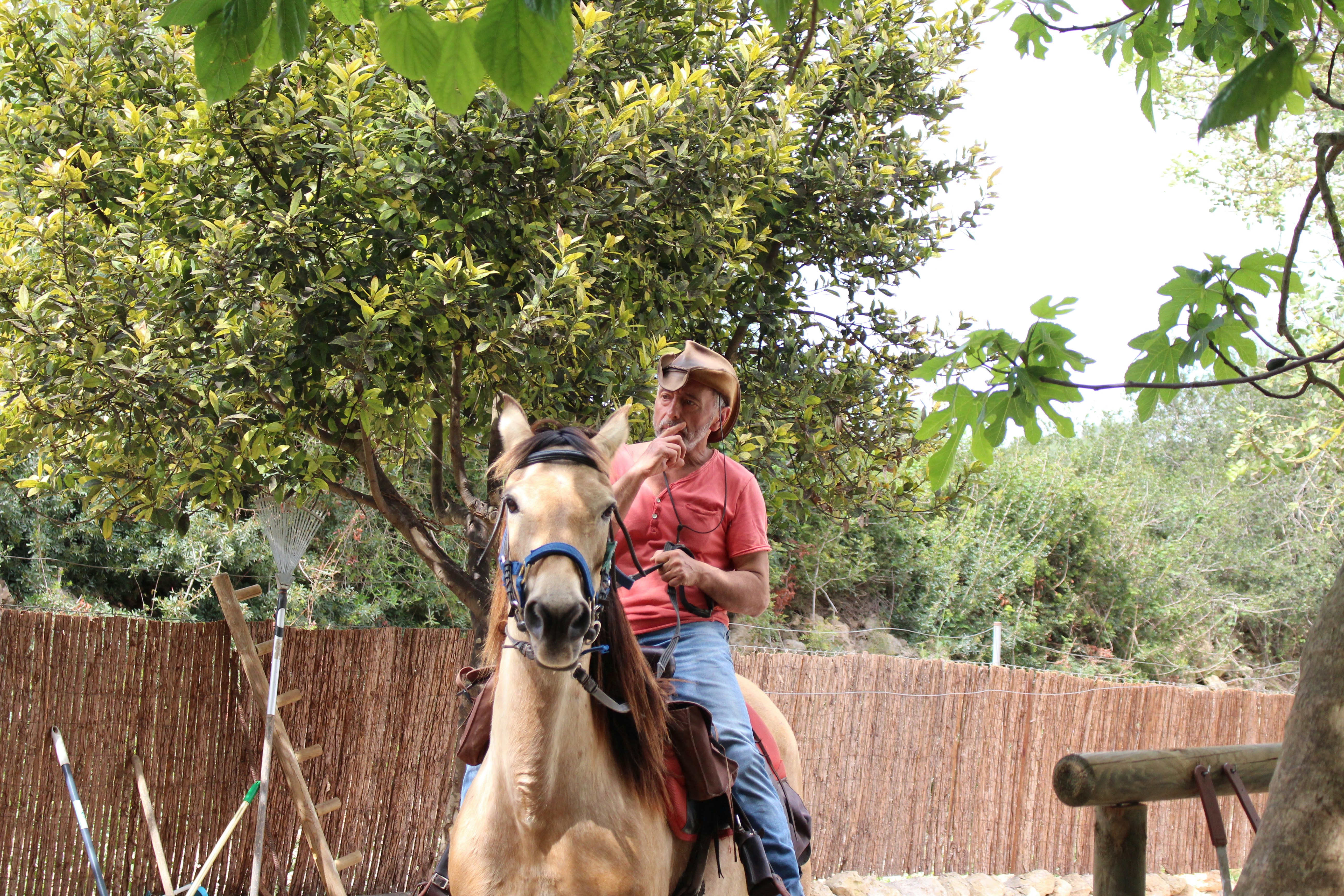 Person in a red shirt riding a horse under leafy trees beside a wooden fence.