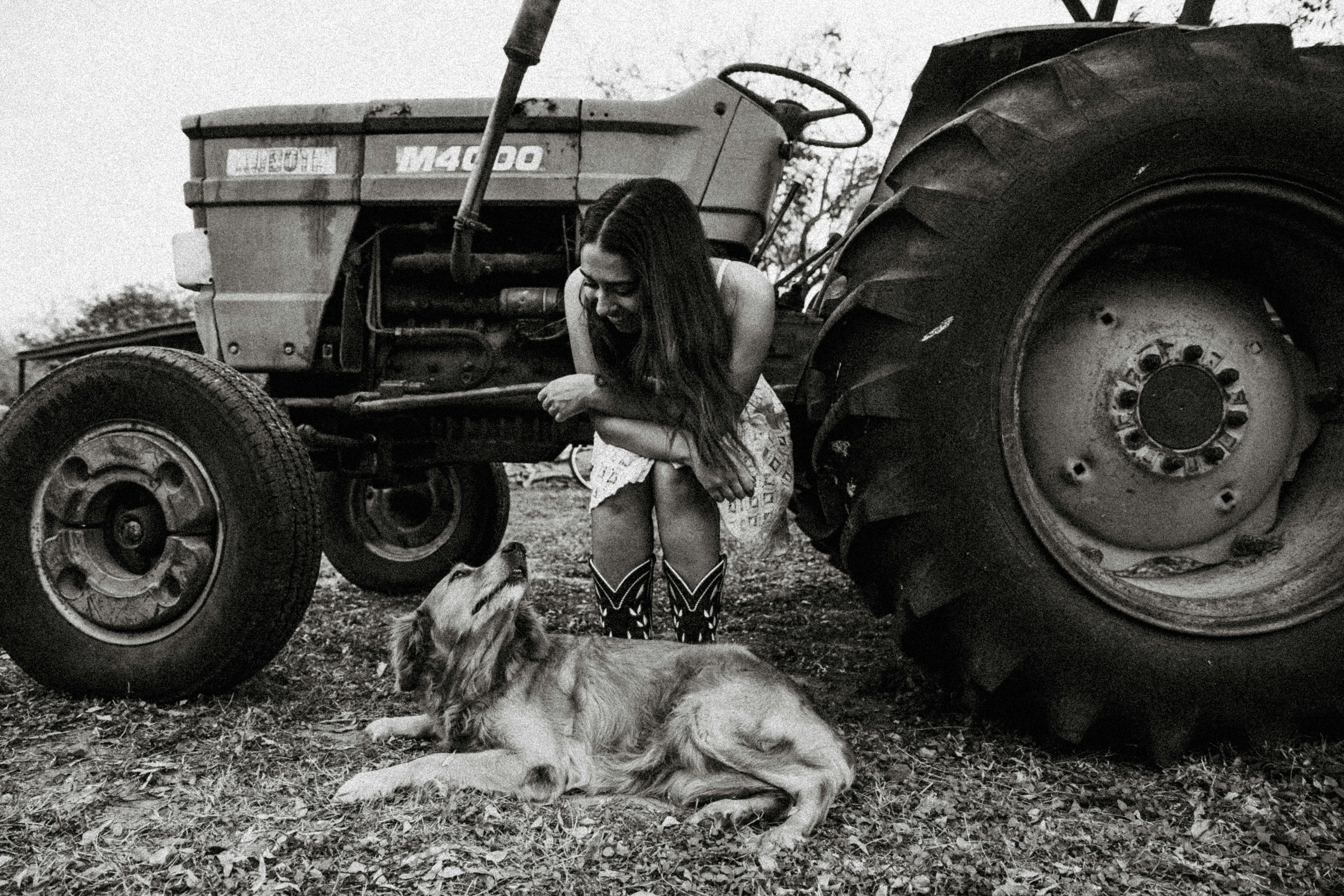 Between Steel and Fur: A Farmyard Moment