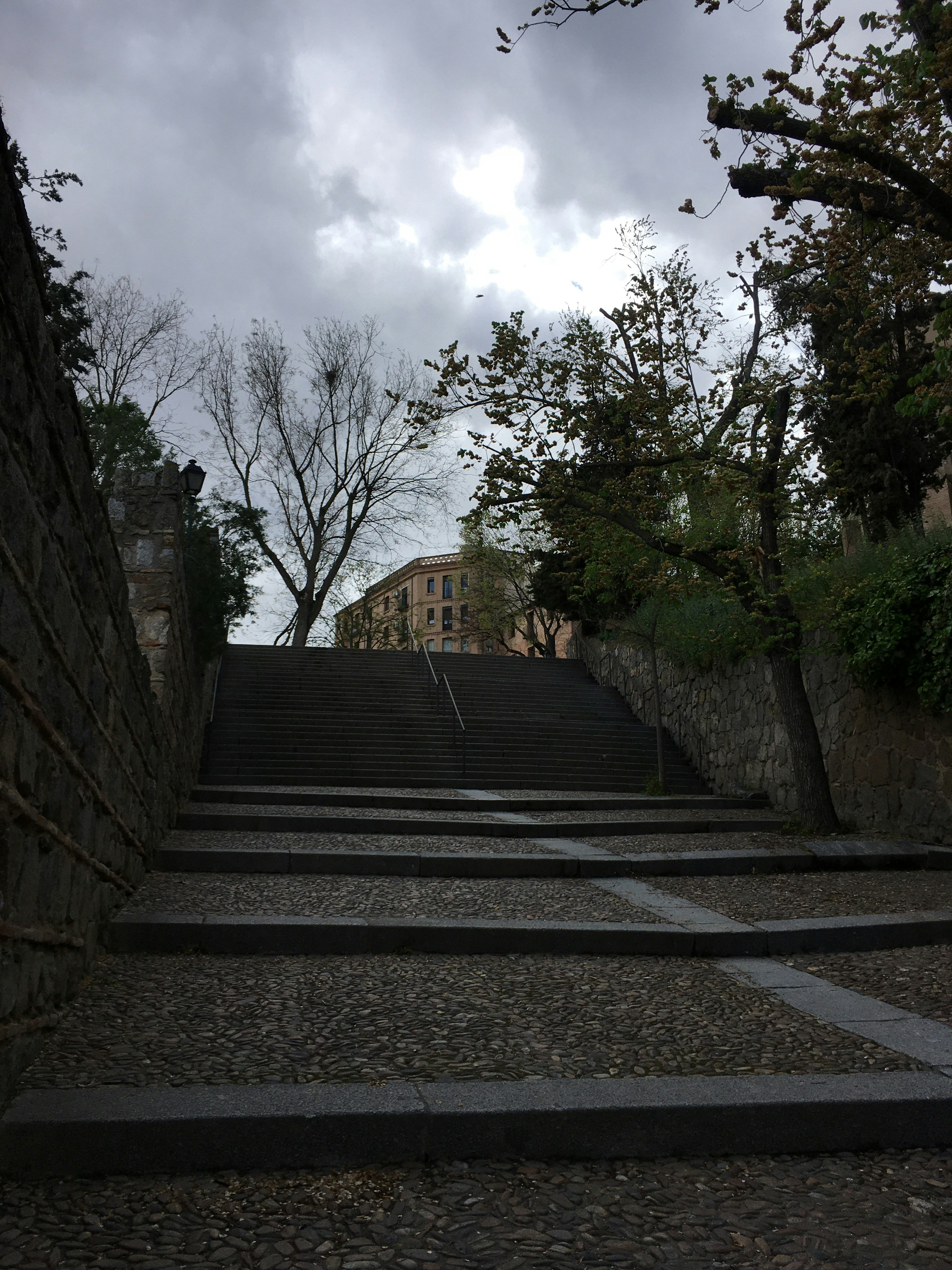 Stone steps leading upward, flanked by trees and a historic building under a cloudy sky.