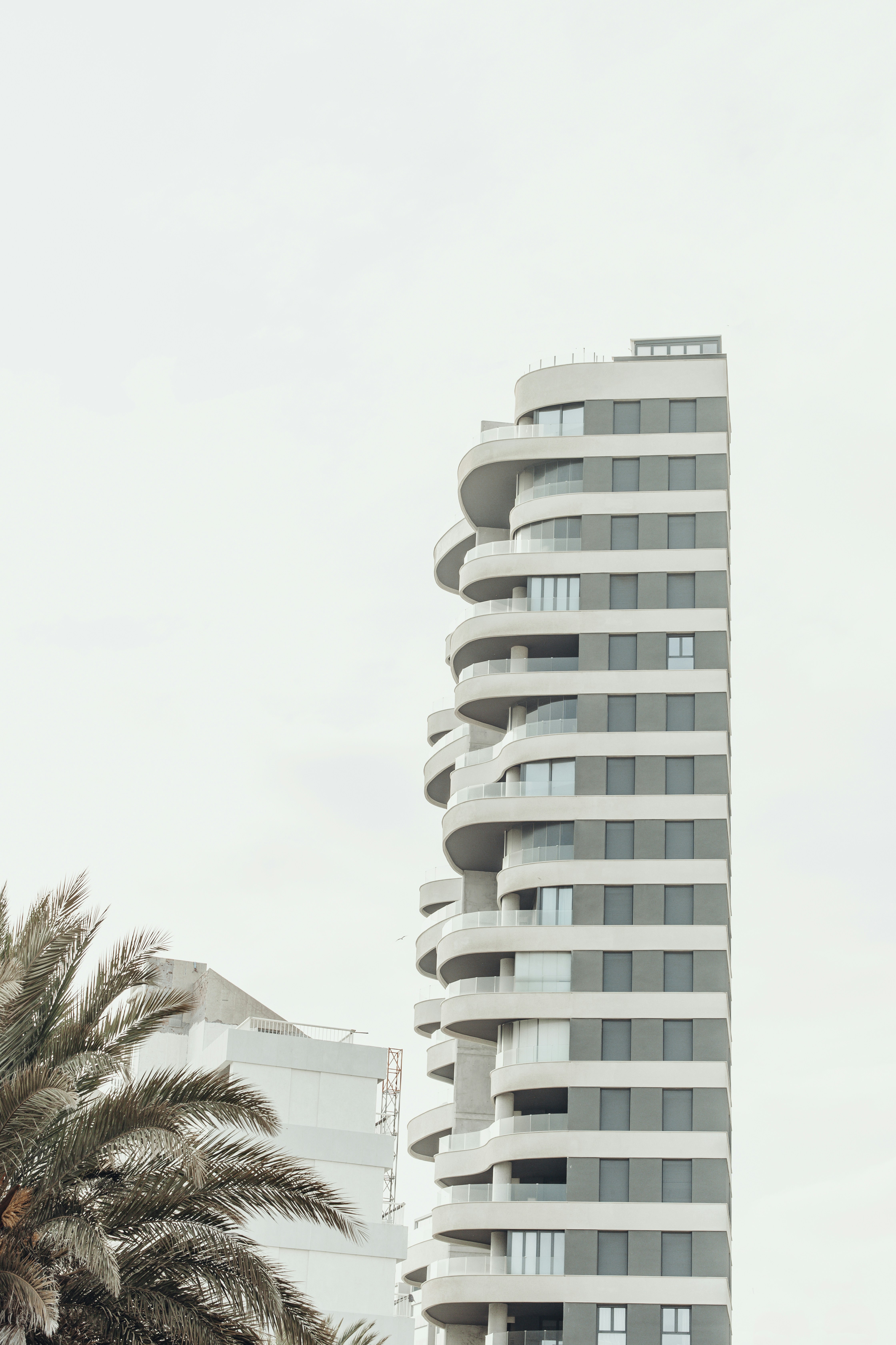 A sleek, modern residential tower with curved balconies rises against a pale sky, accompanied by a palm tree in the foreground.