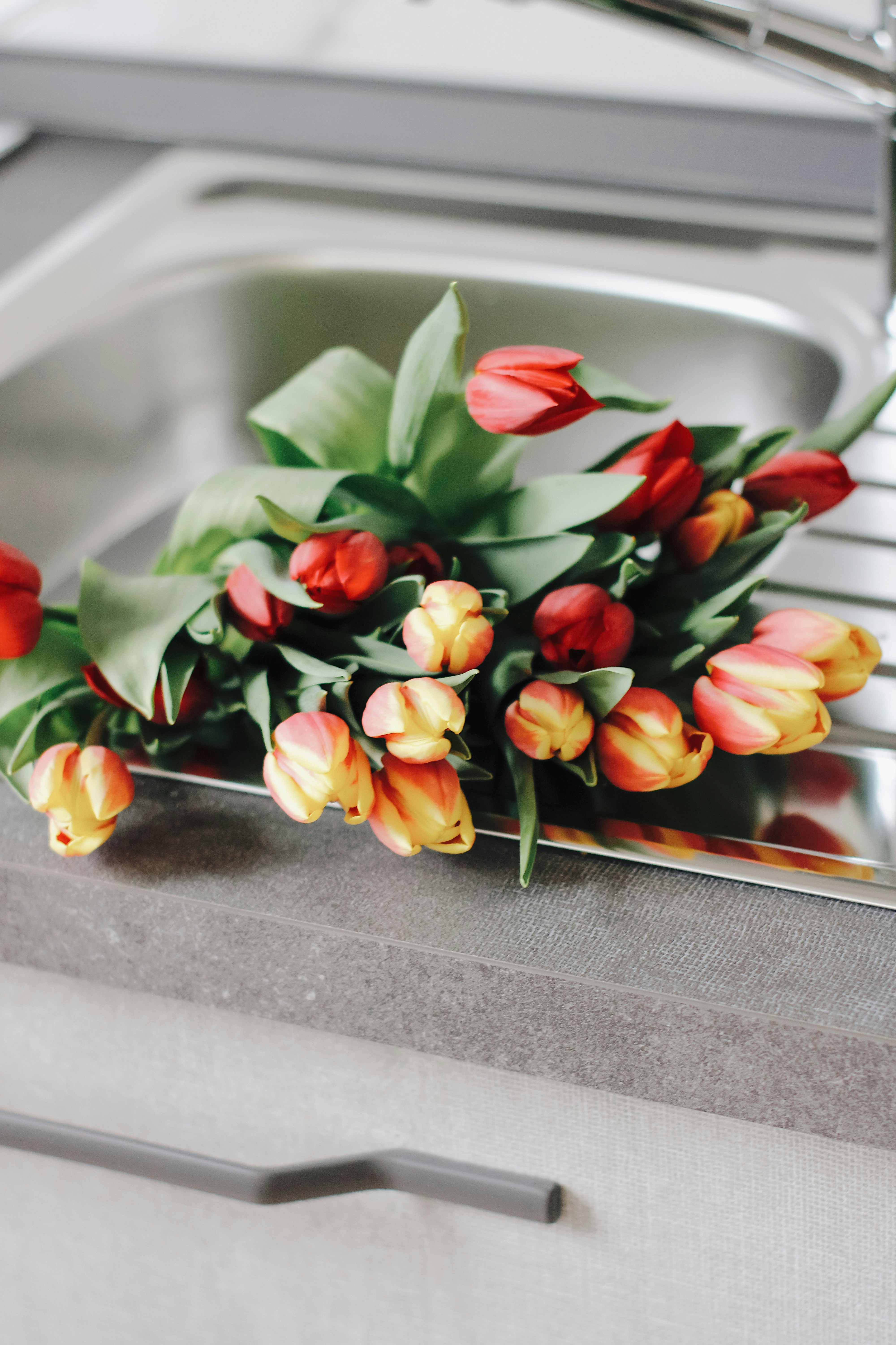 Bouquet of red and yellow tulips rests on a stainless steel kitchen sink ledge with soft, natural light.