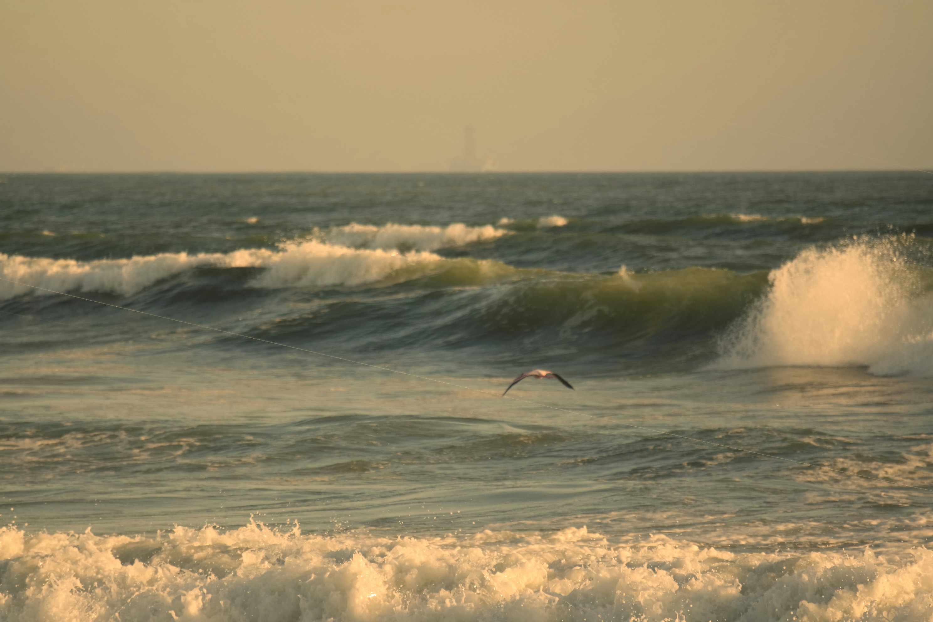 Dusk Glide Through Sunset Breakers