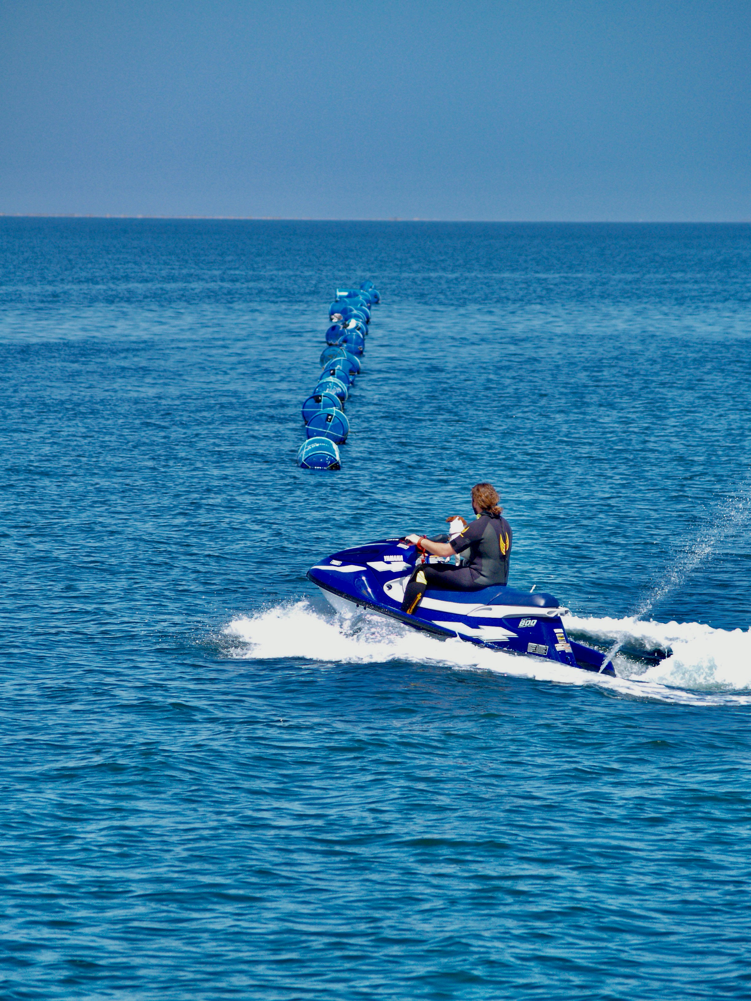 Woman in blue and white wetsuit riding white and purple inflatable raft ...