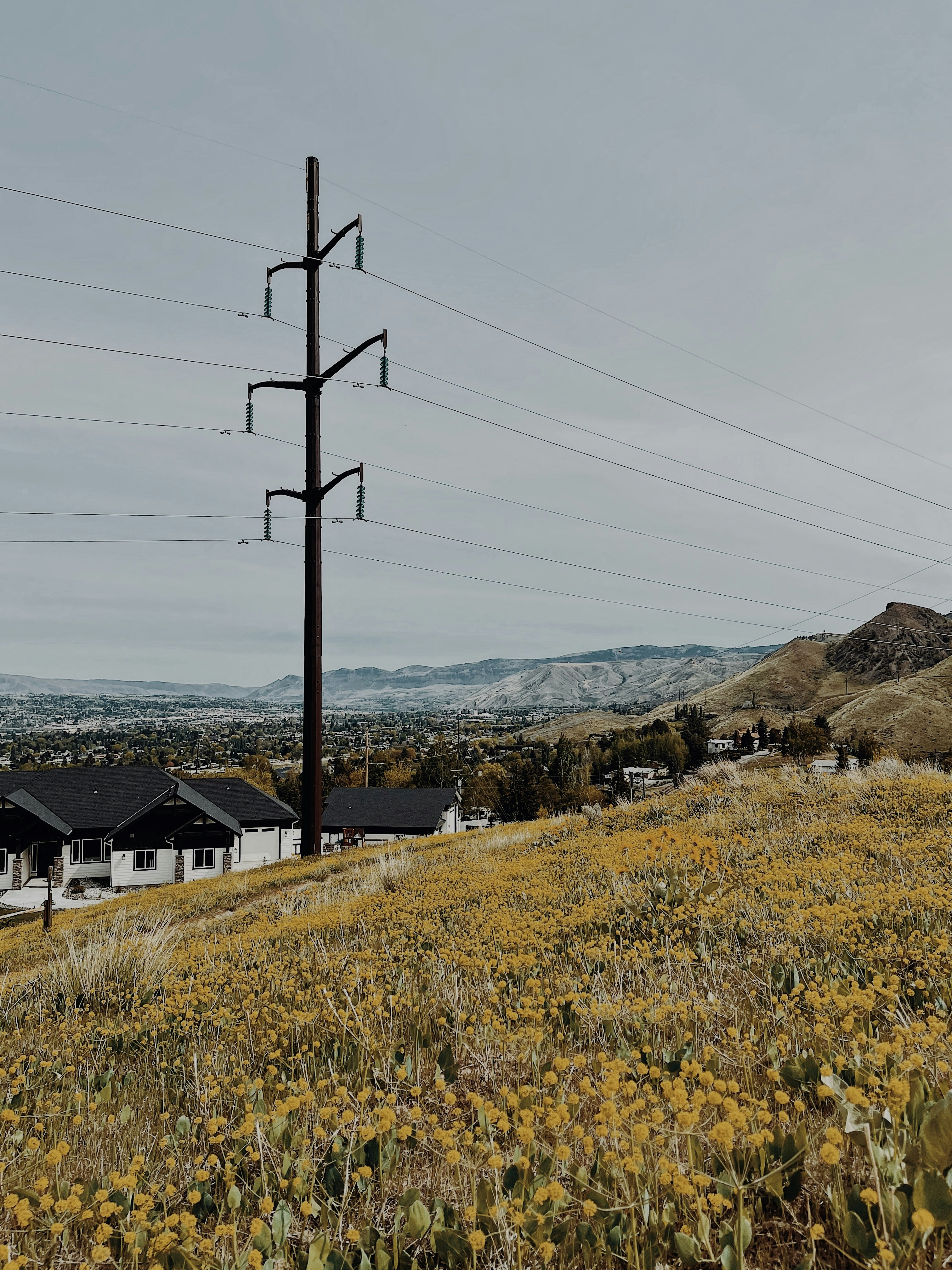 Power Line Fills the Rolling Hill Landscape