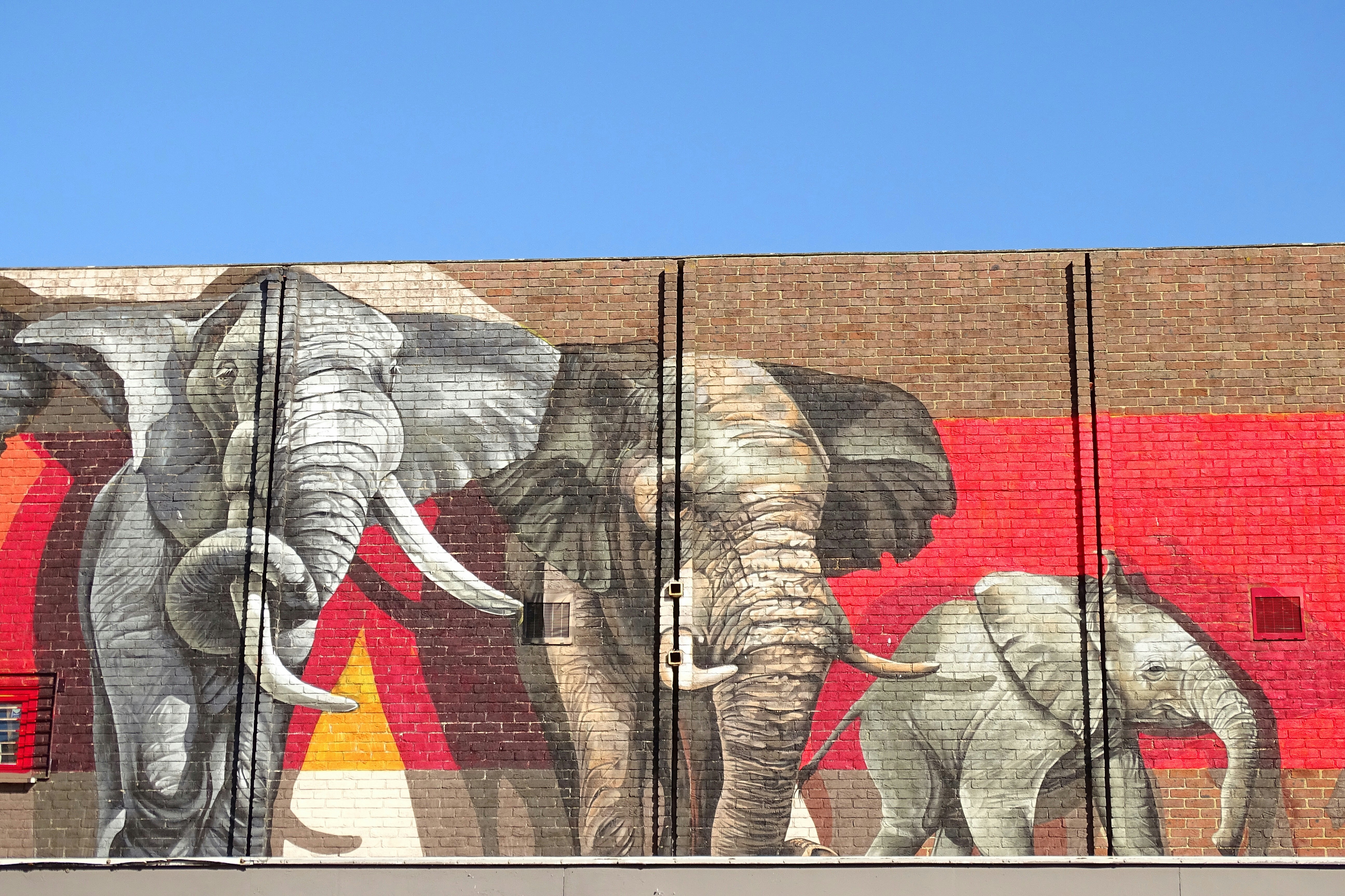 Above the shops in Boscombe Bournemouth this wonderful street art of a family of elephants.  The history behind the art is once upon a time Elephants were led through the high street when the circus came to town. Those days are gone now thankfully. 