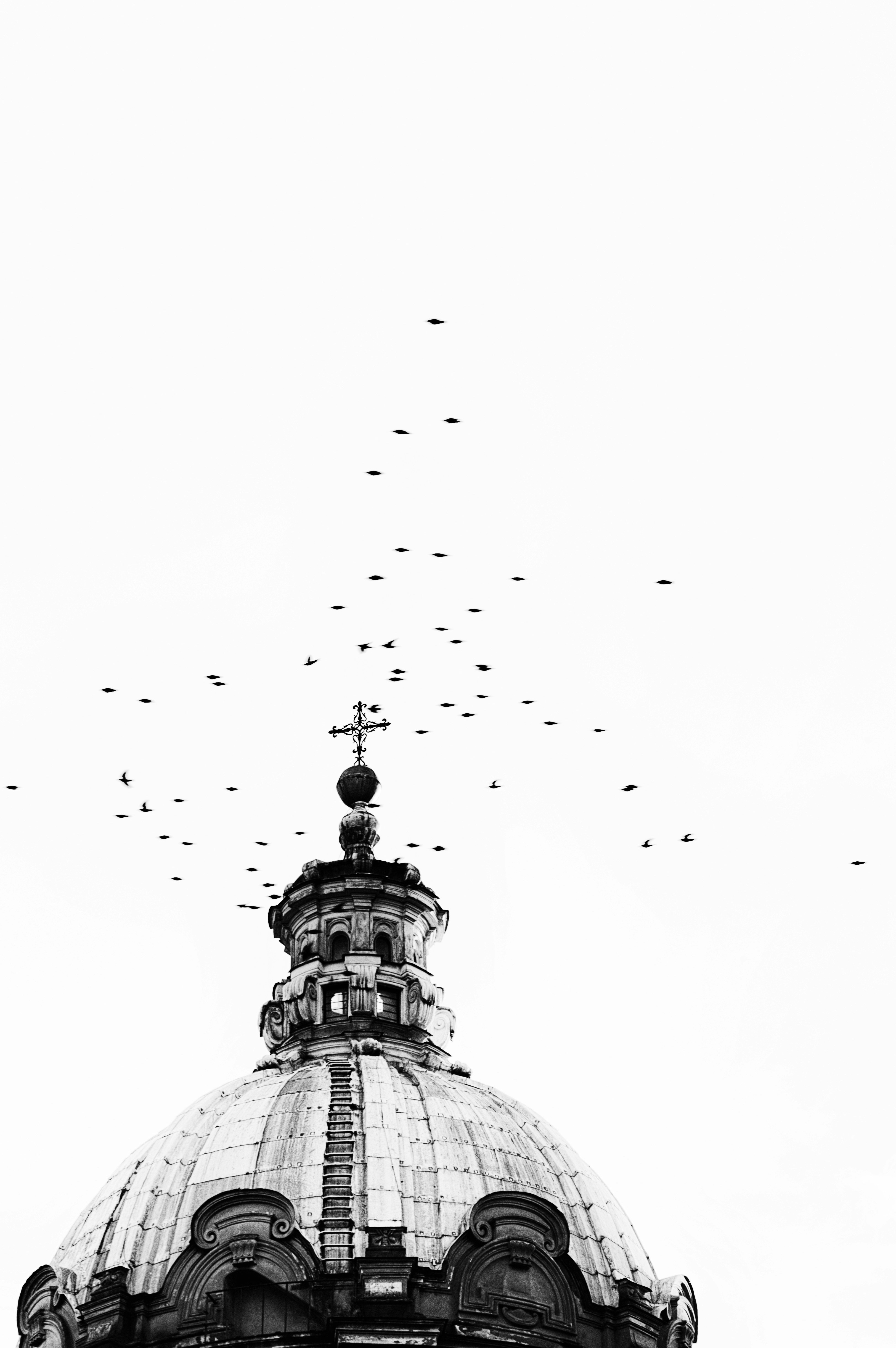 Cross atop a historic dome under a flock of distant birds