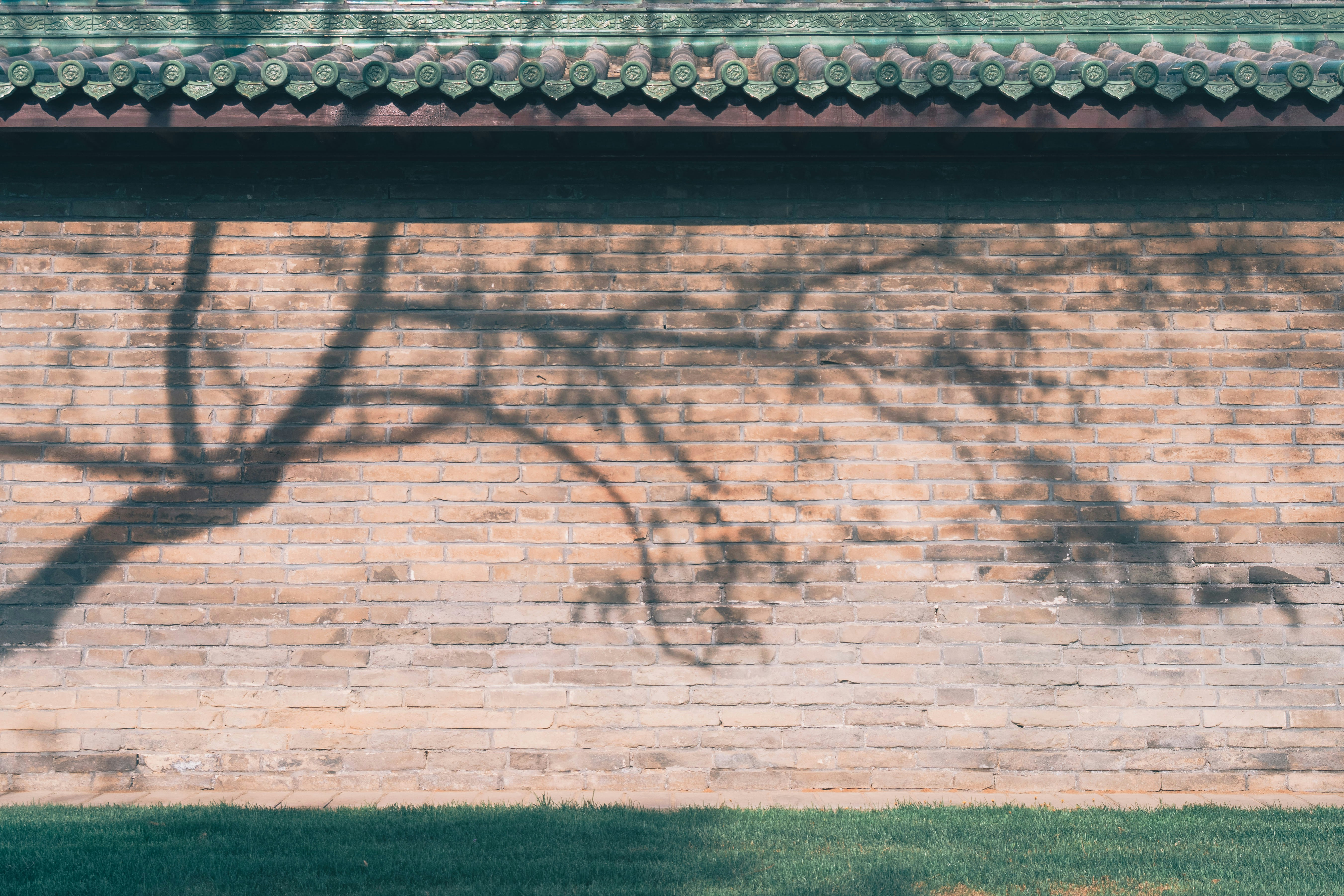 Brown brick wall with shadow of tree during daytime photo – Free Plant ...