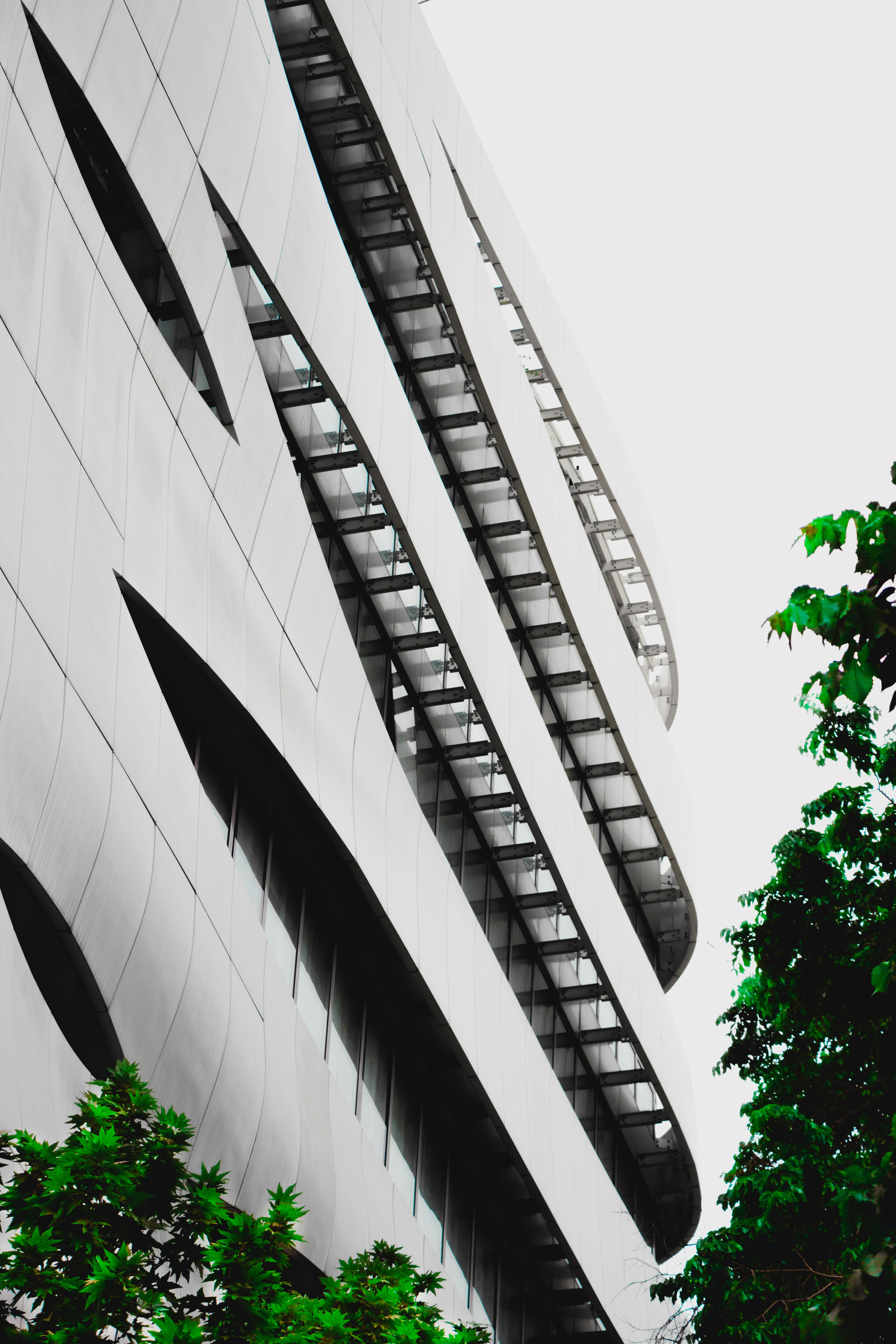 Diagonal Grace: White Facade with Ribbon Balconies Framed by Greenery