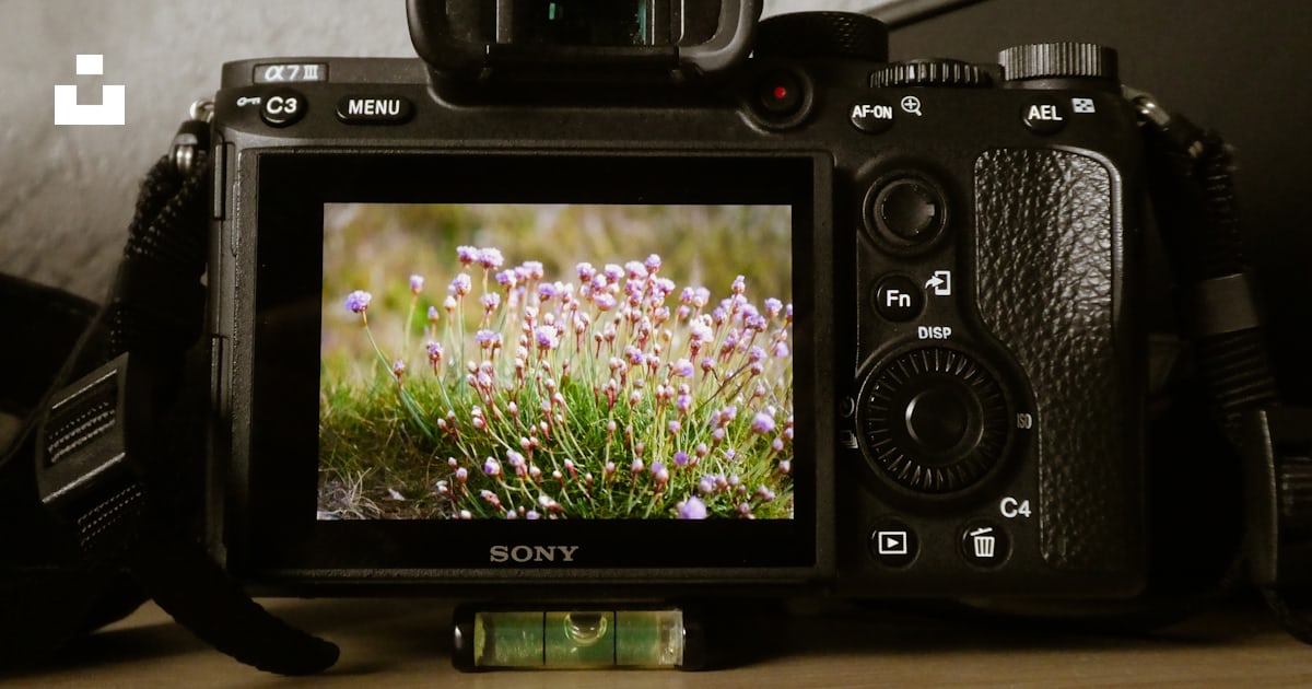 흰색 테이블에 블랙 니콘 Dslr 카메라 사진 Unsplash의 무료 사진기 이미지