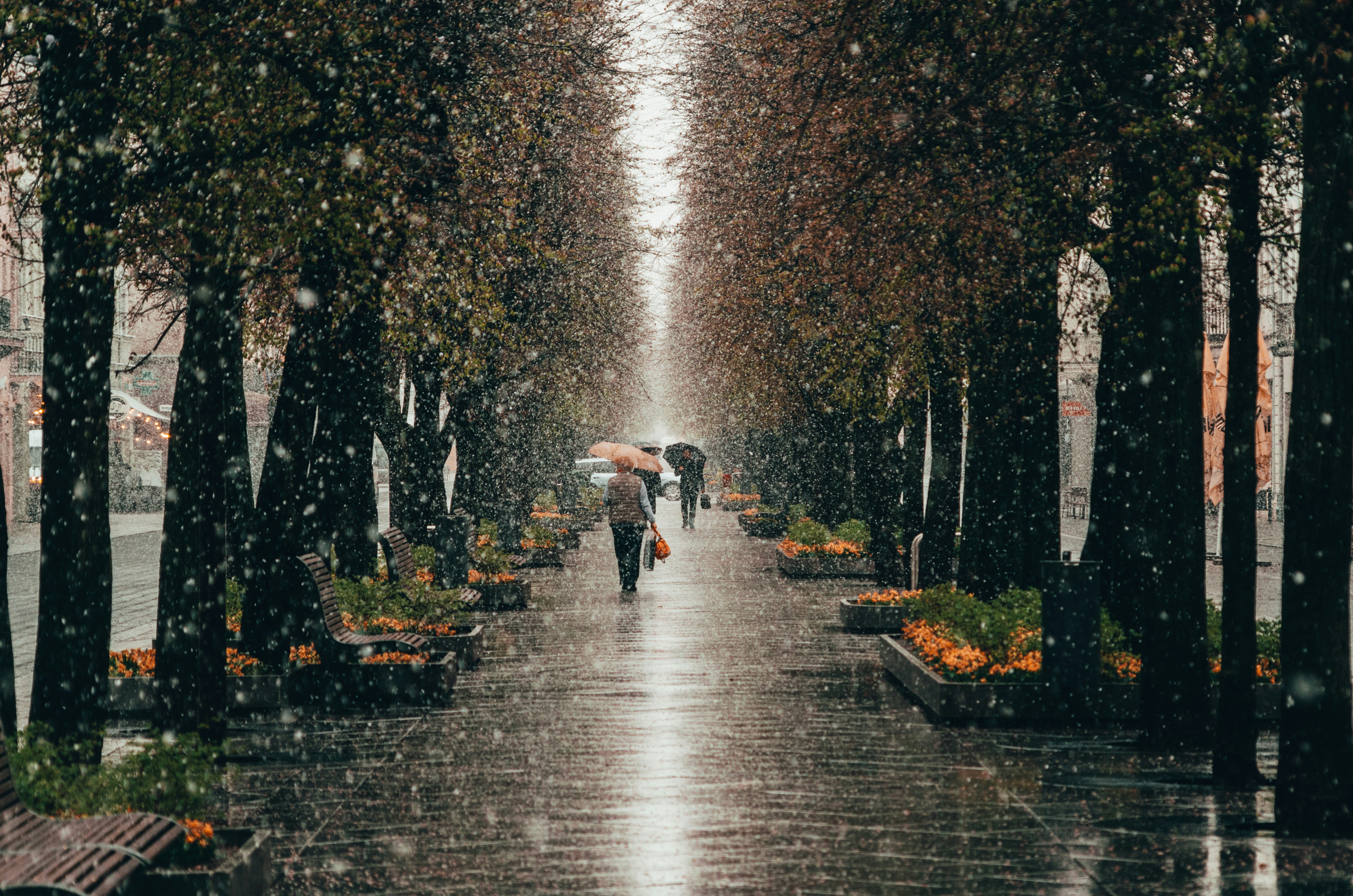 350+ Rainy Day Pictures [HQ] | Download Free Images & Stock Photos on ...