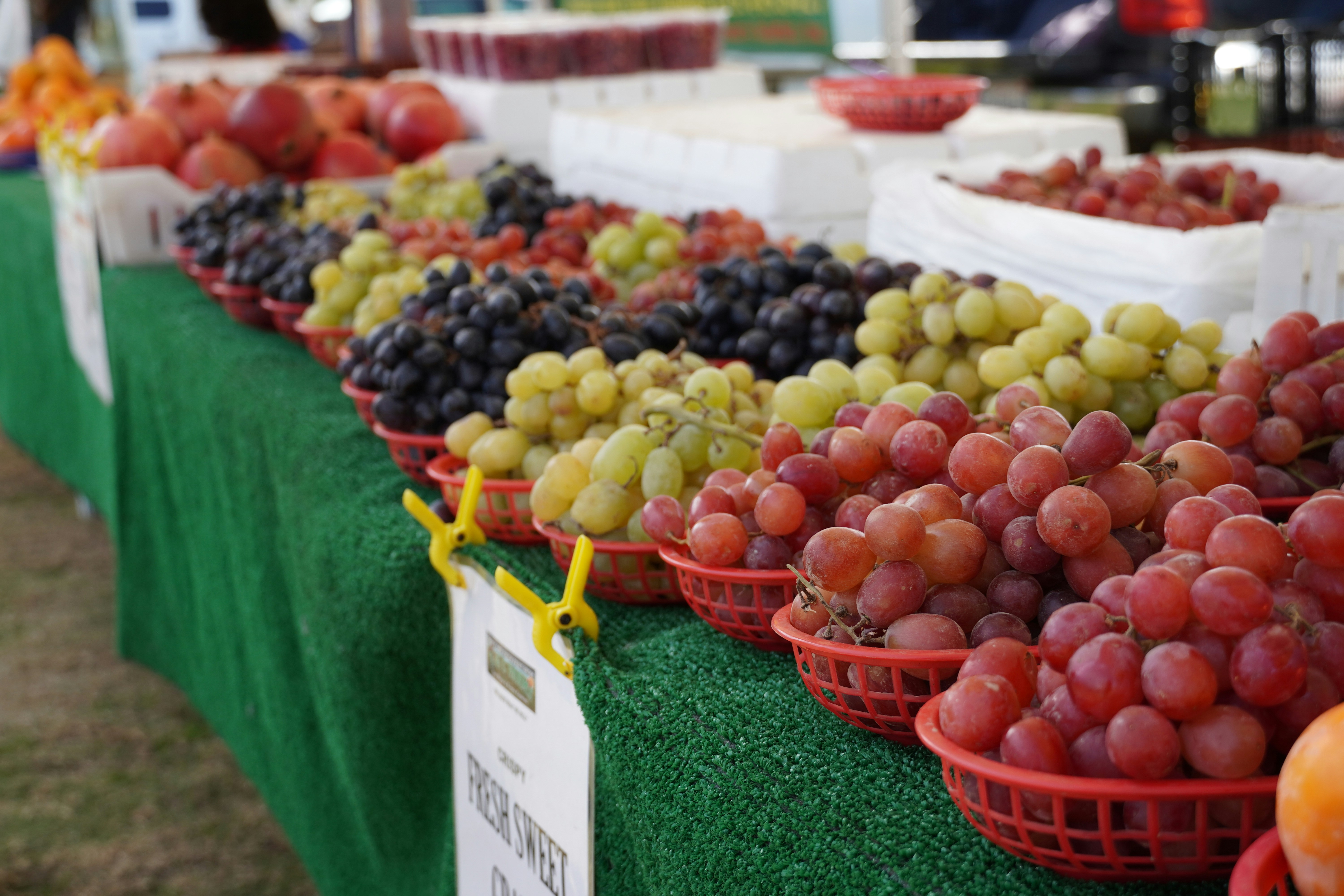 Crimson and Emerald Grapes Line a Sunlit Market Stall