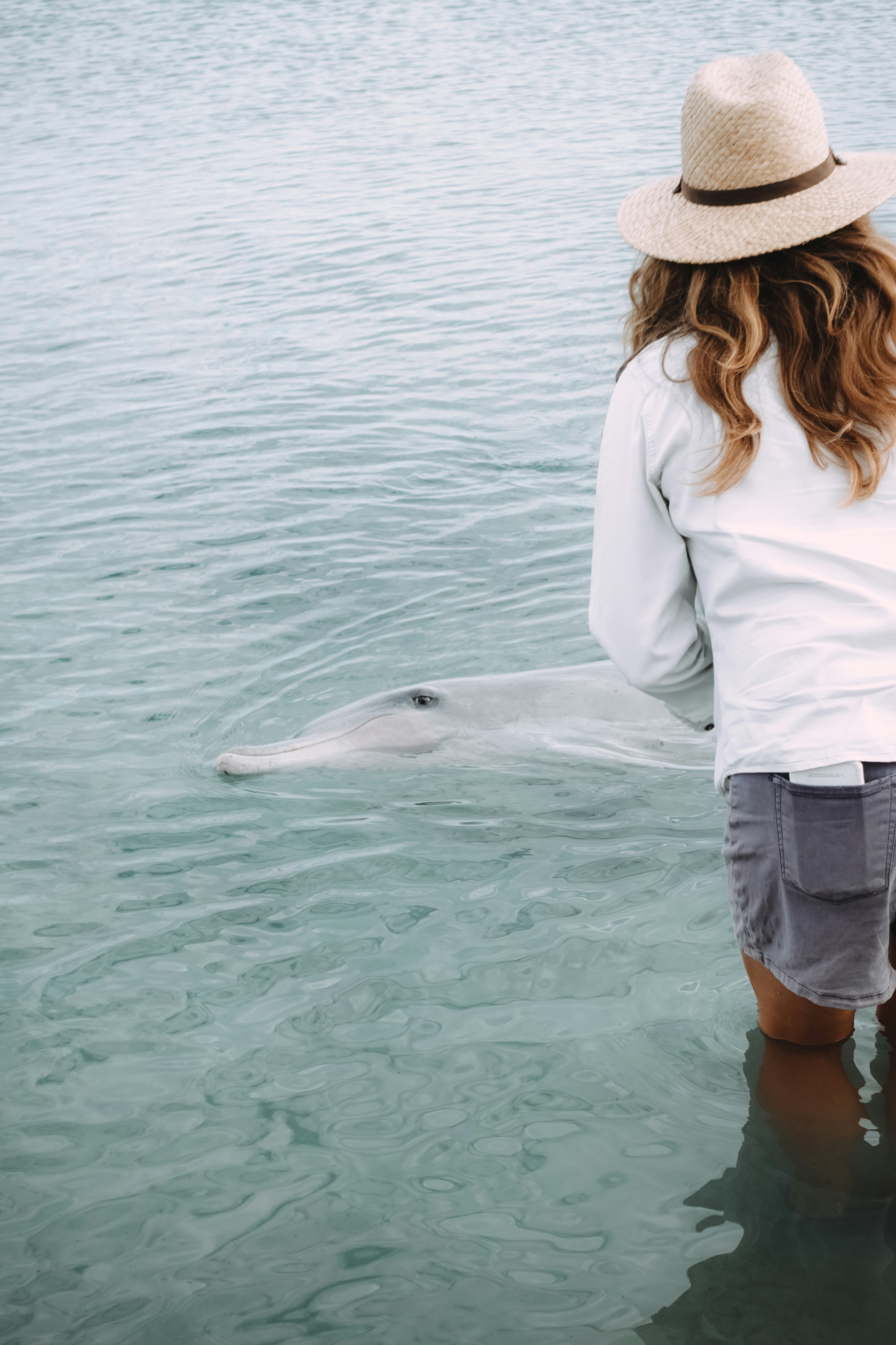 Sunlit Shoreline Encounter: Woman and Beluga in Gentle Waters