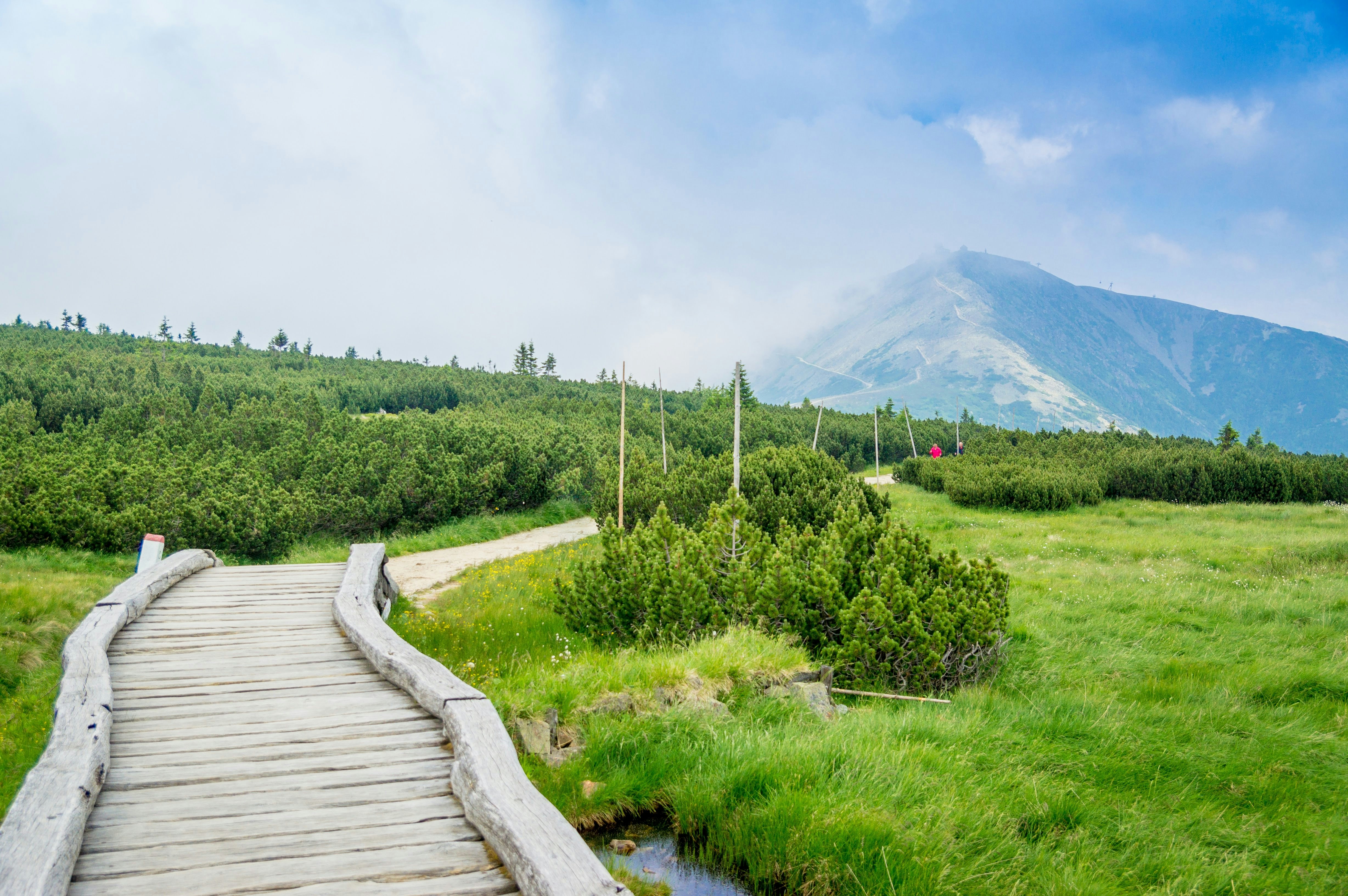 Wooden boardwalk leading through lush greenery towards a mist-shrouded mountain under a blue sky.