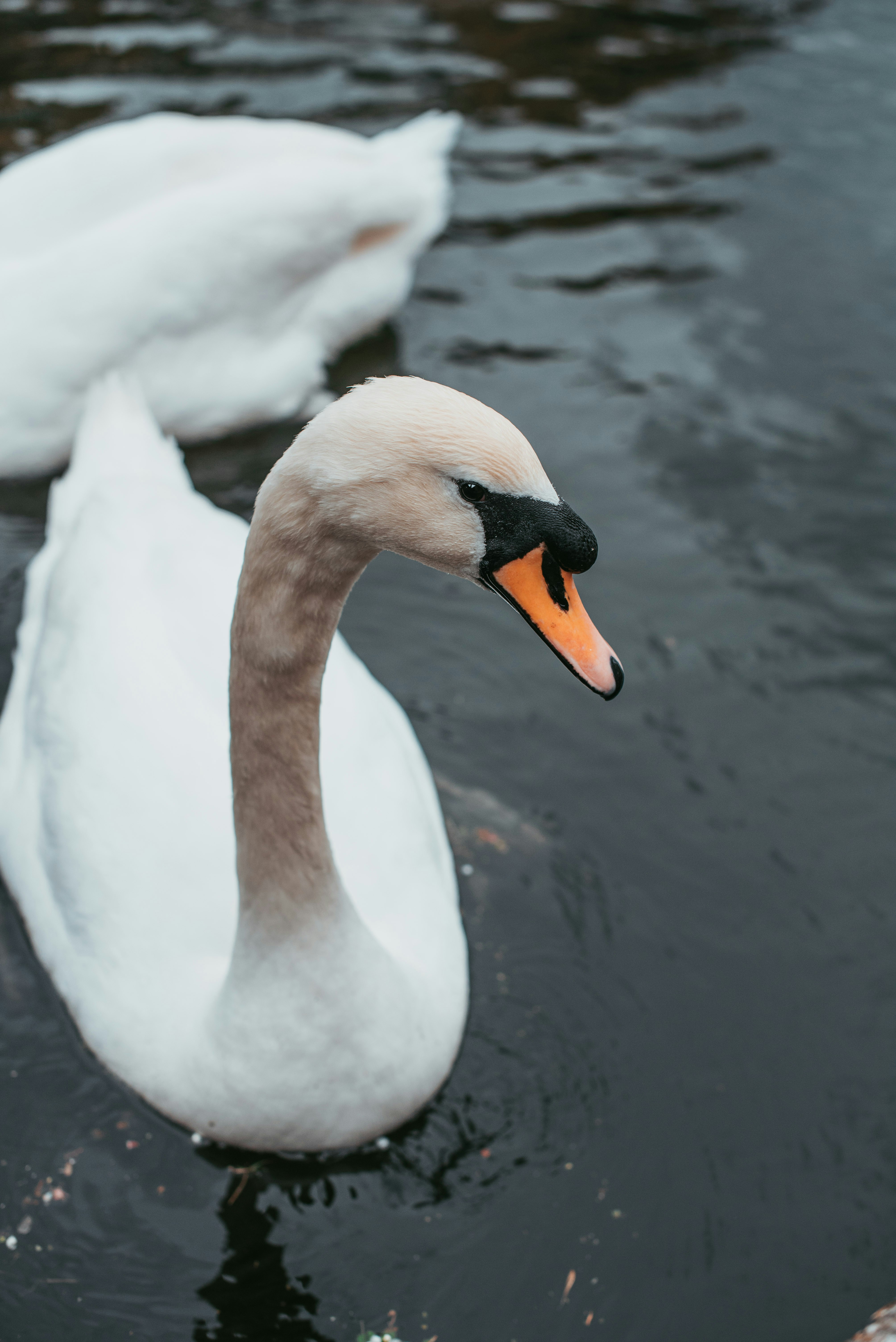 Charlotte Harrison (@charlottelharrison) | Unsplash Photo Community