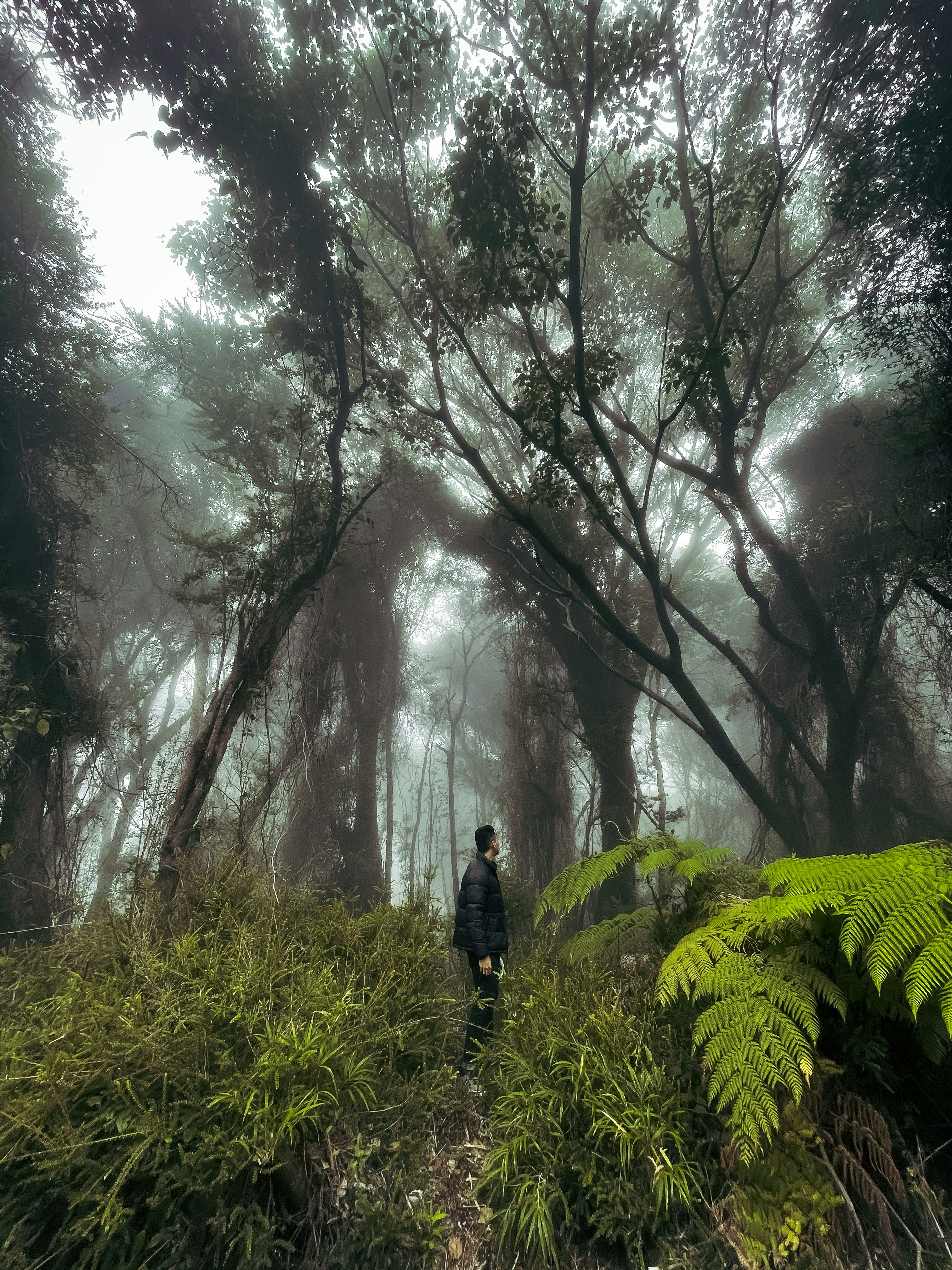 Please make sure to drop a like so we can reach out even more people👊🏼