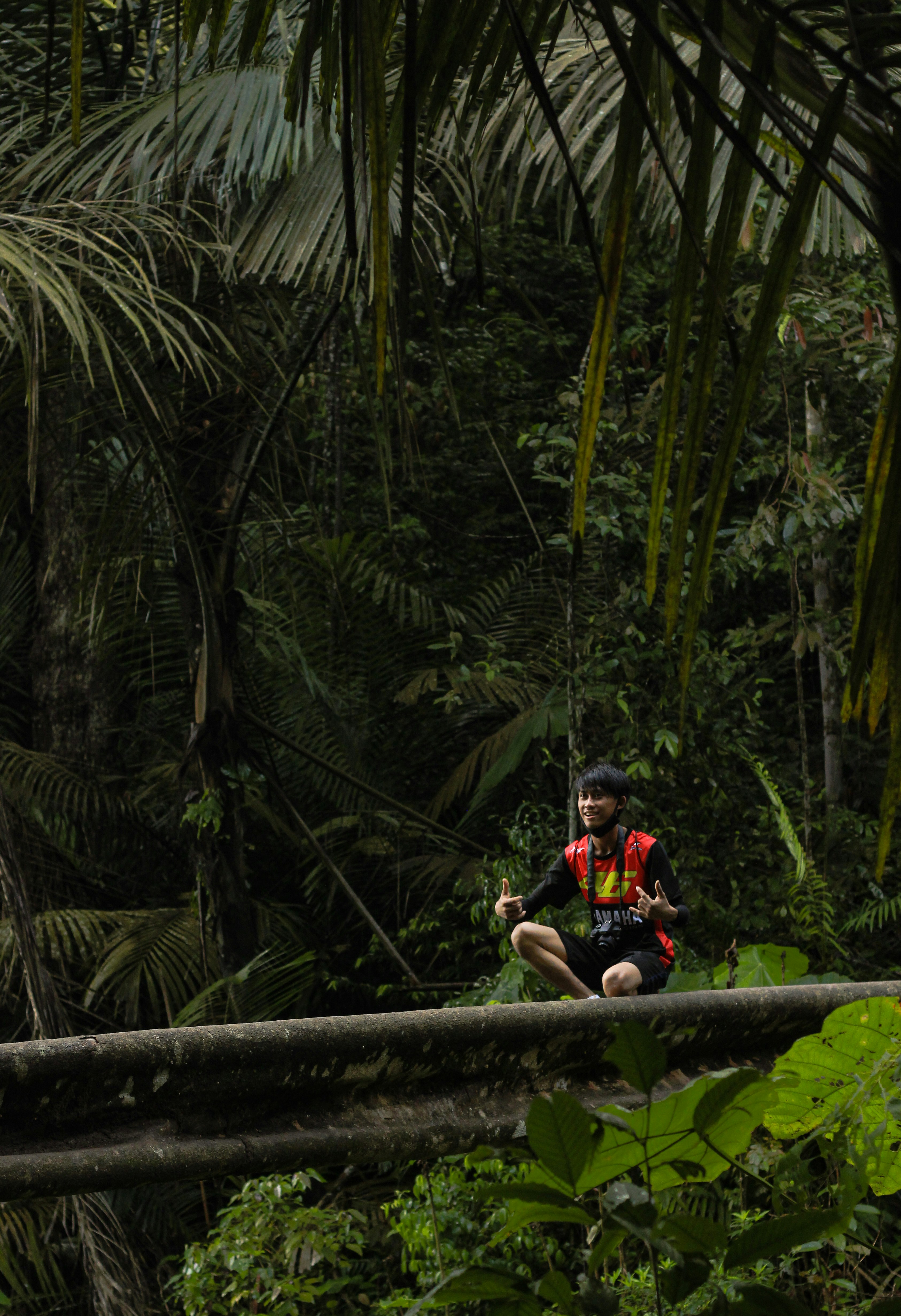 Crossing the Green Curtain: climber on a mossy log in a tropical jungle