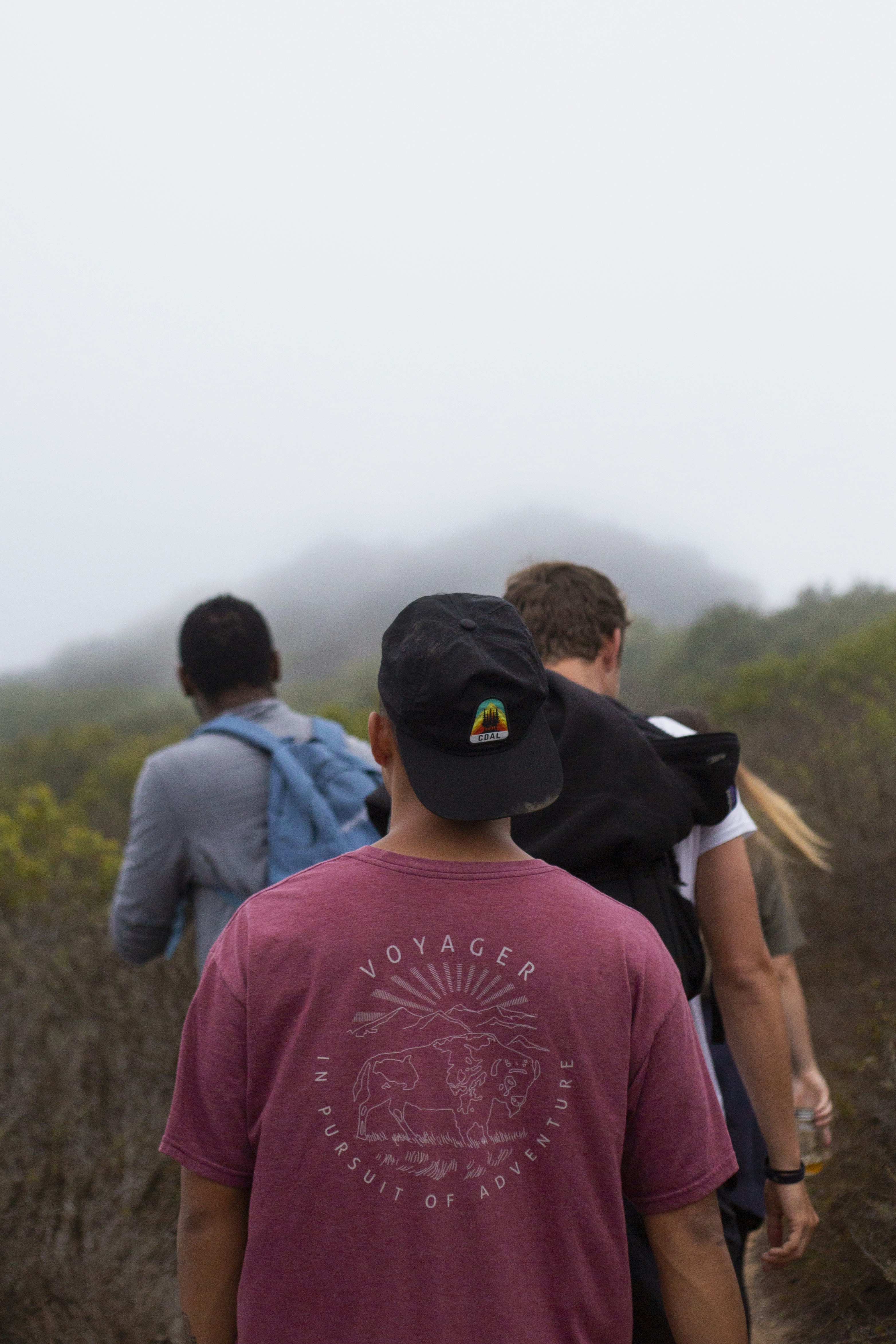 Voyager on the Misty Ridge: A Fogbound Group Trek