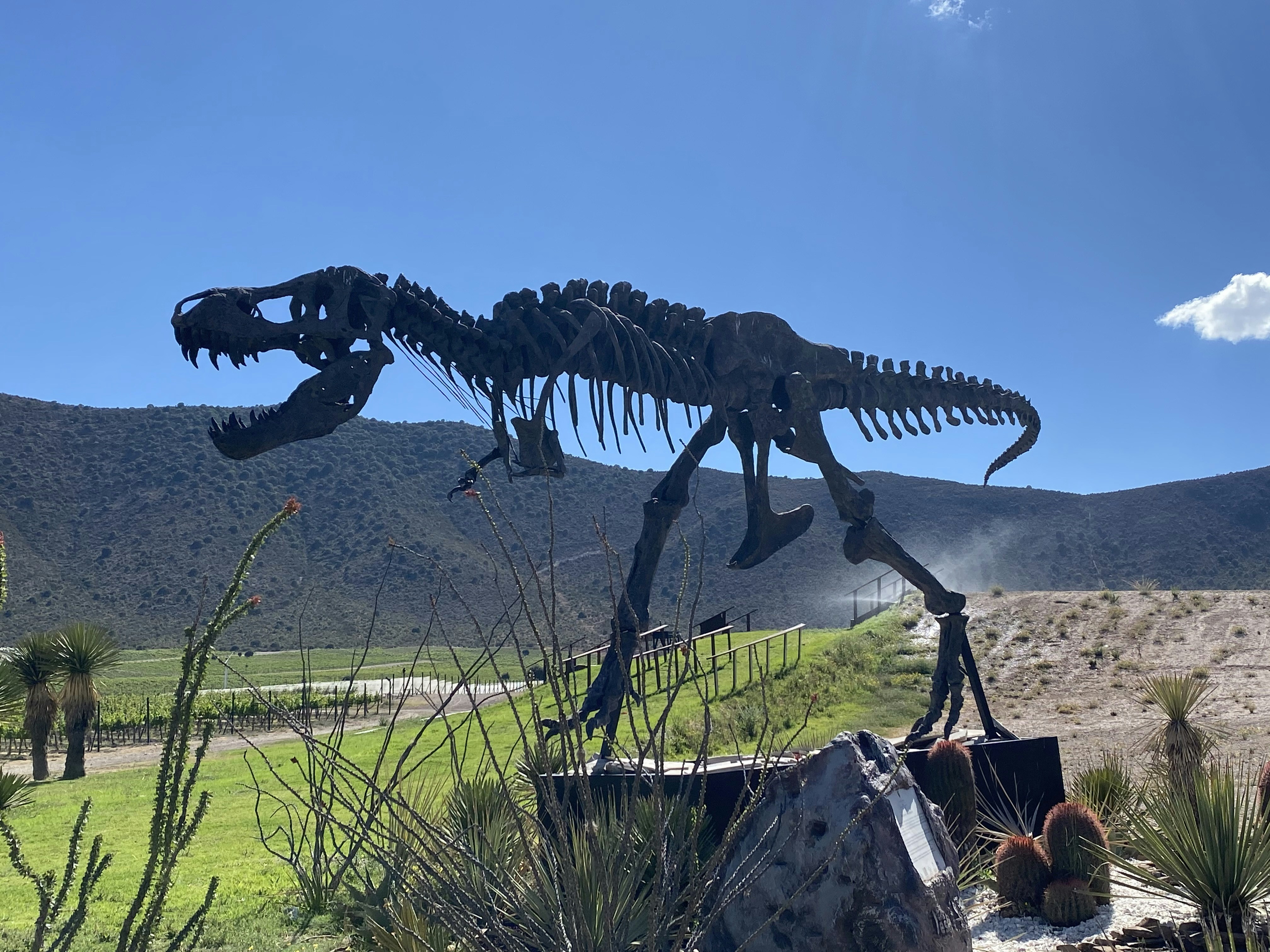 patricio davalos (@patriciodavalos) | Unsplash 사진 커뮤니티