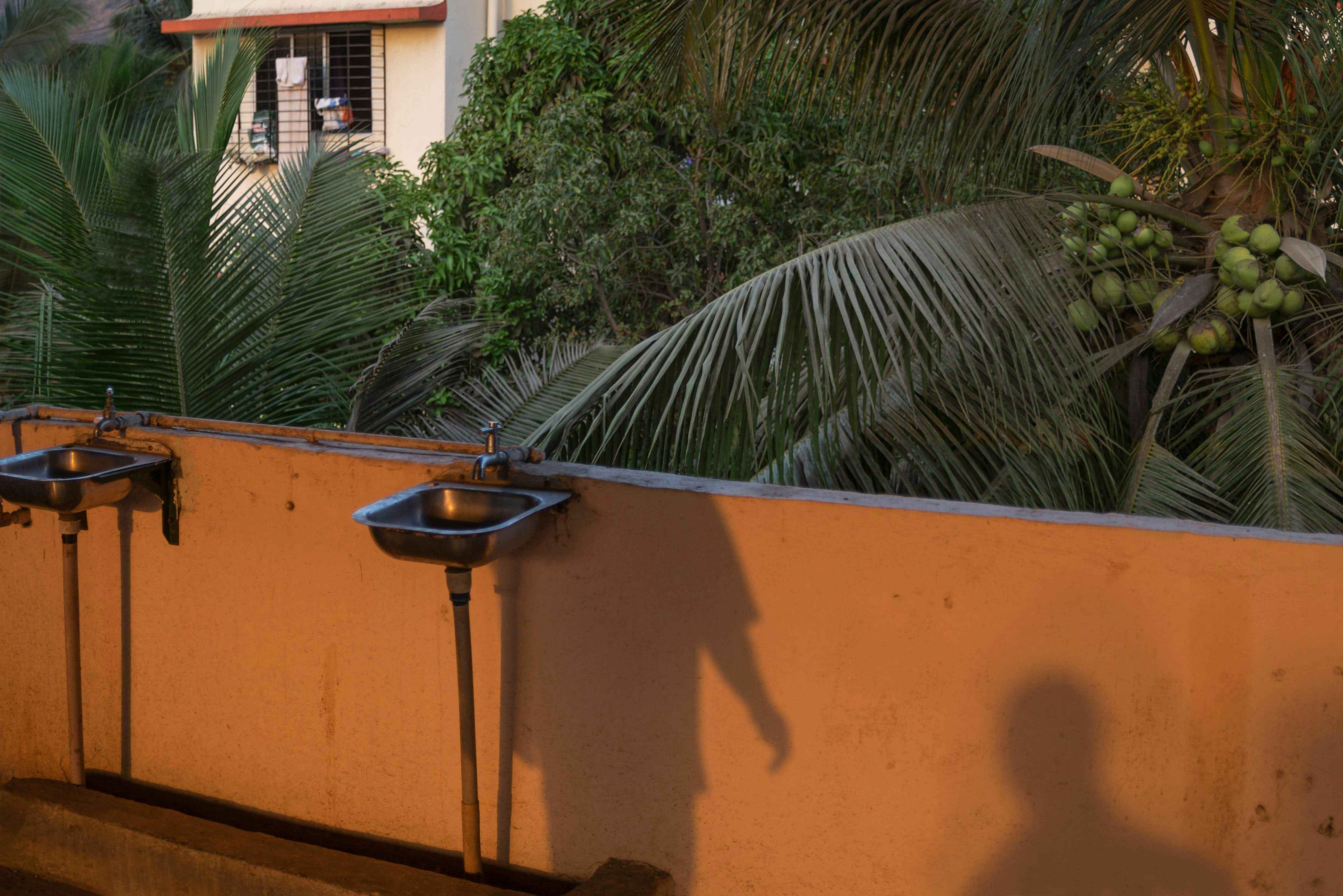 Sunset Shadow Across an Orange Terrace Wall with Palm Backdrop